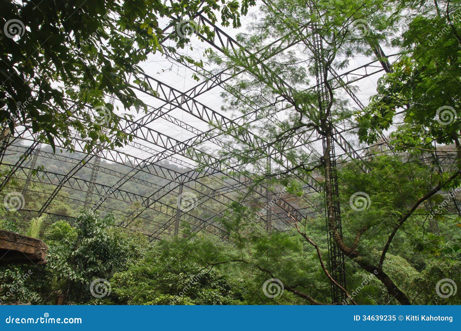 Aviarium fotografering för bildbyråer. Bild av aviär - 34639235