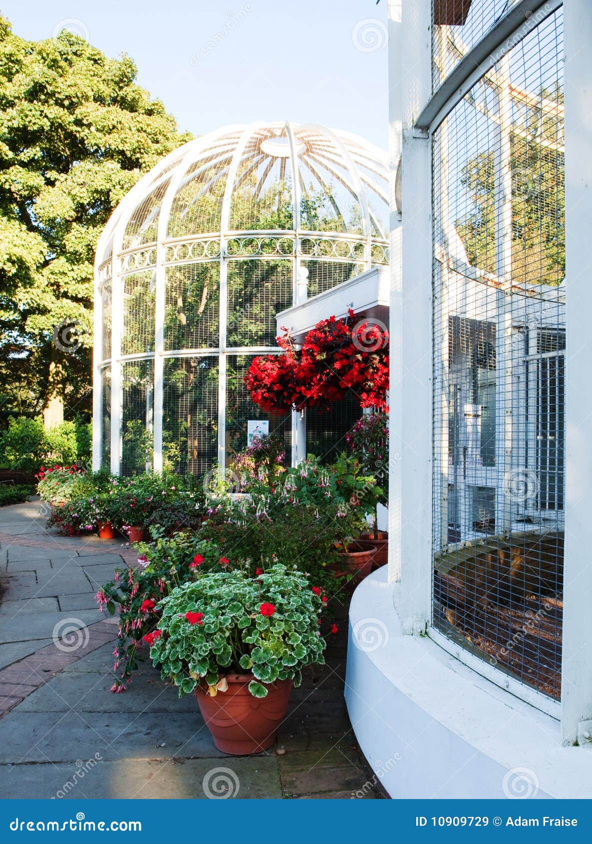 Aviary stock image. Image of tranquil, ornamental, leaf - 10909729