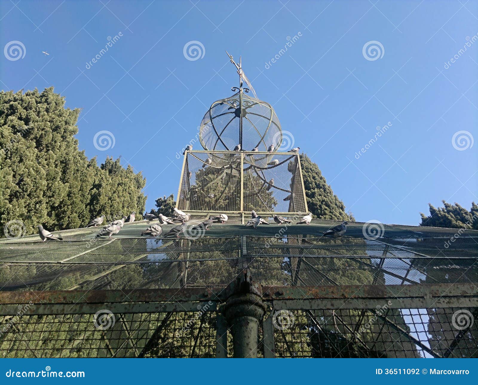 Aviary stock photo. Image of ornitology, cage, perched - 36511092
