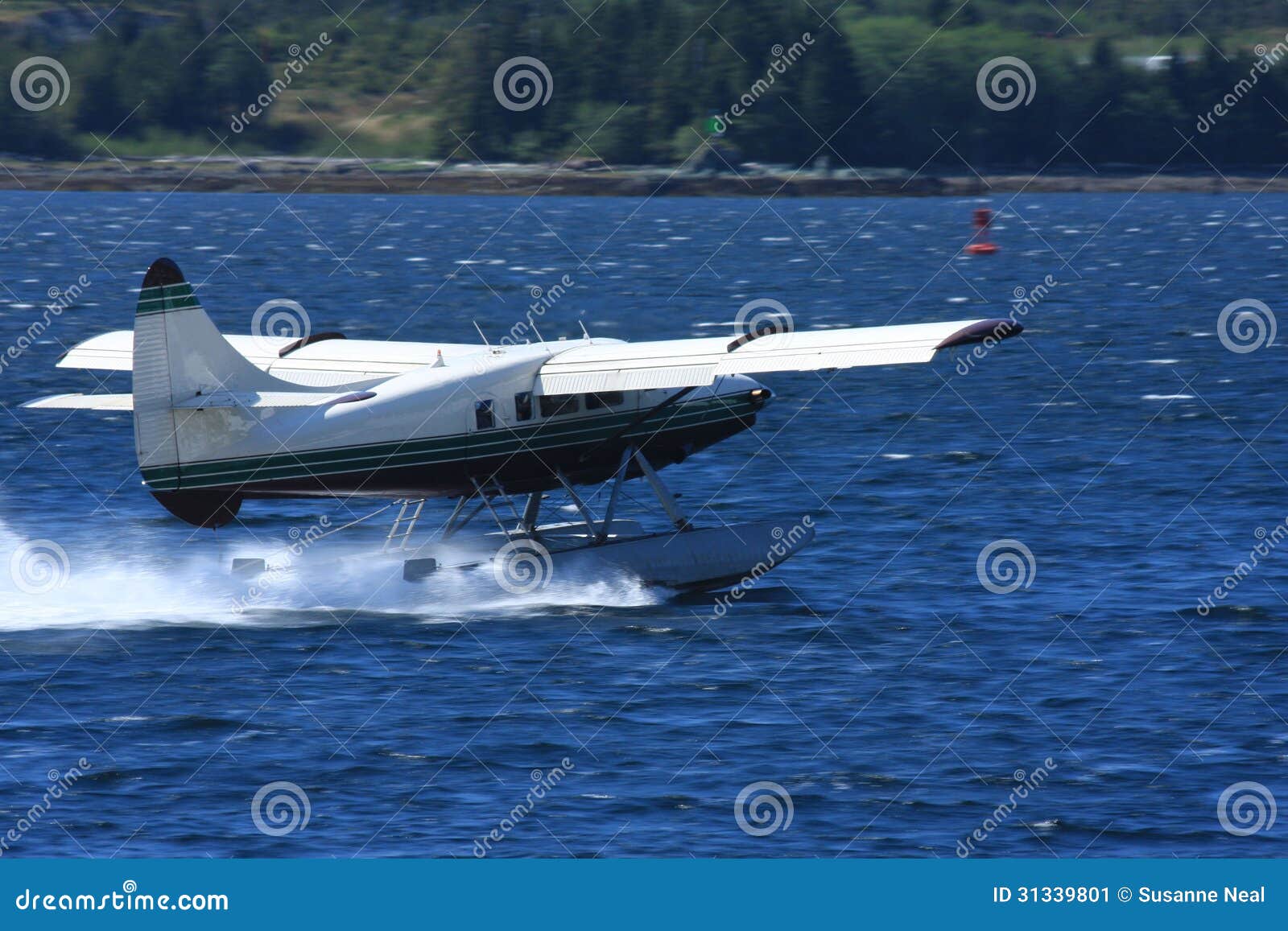 Avion De Flotteur Dans L'eau En Alaska Image stock - Image du alaska ...