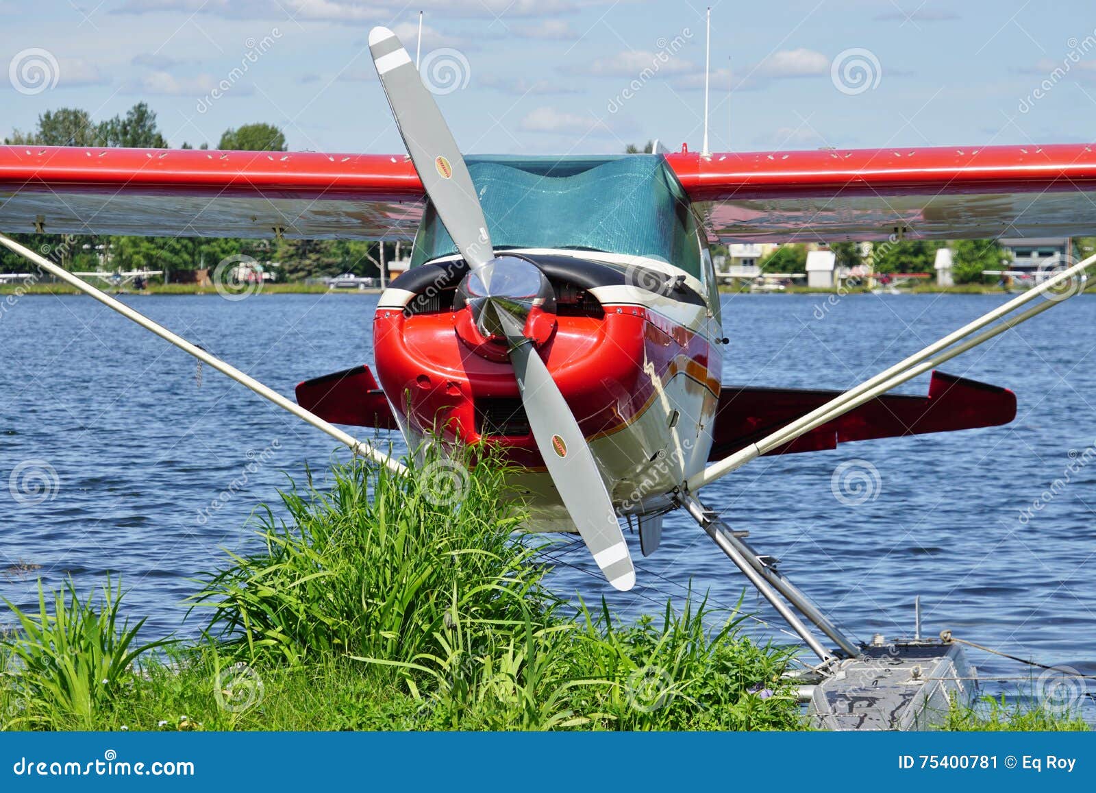 Avion De Mer Au Capot De Lac En Alaska Photo éditorial - Image du ...