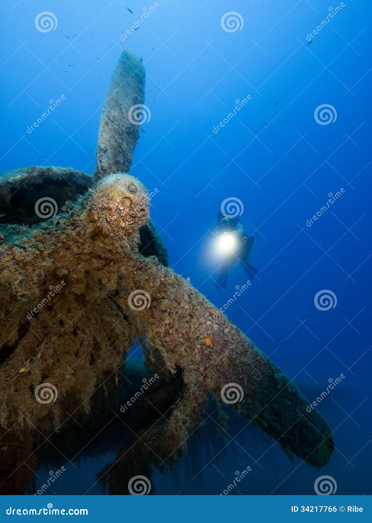 Avion Et Plongeur Sous-marins Photo stock - Image du explorer, plongeur ...