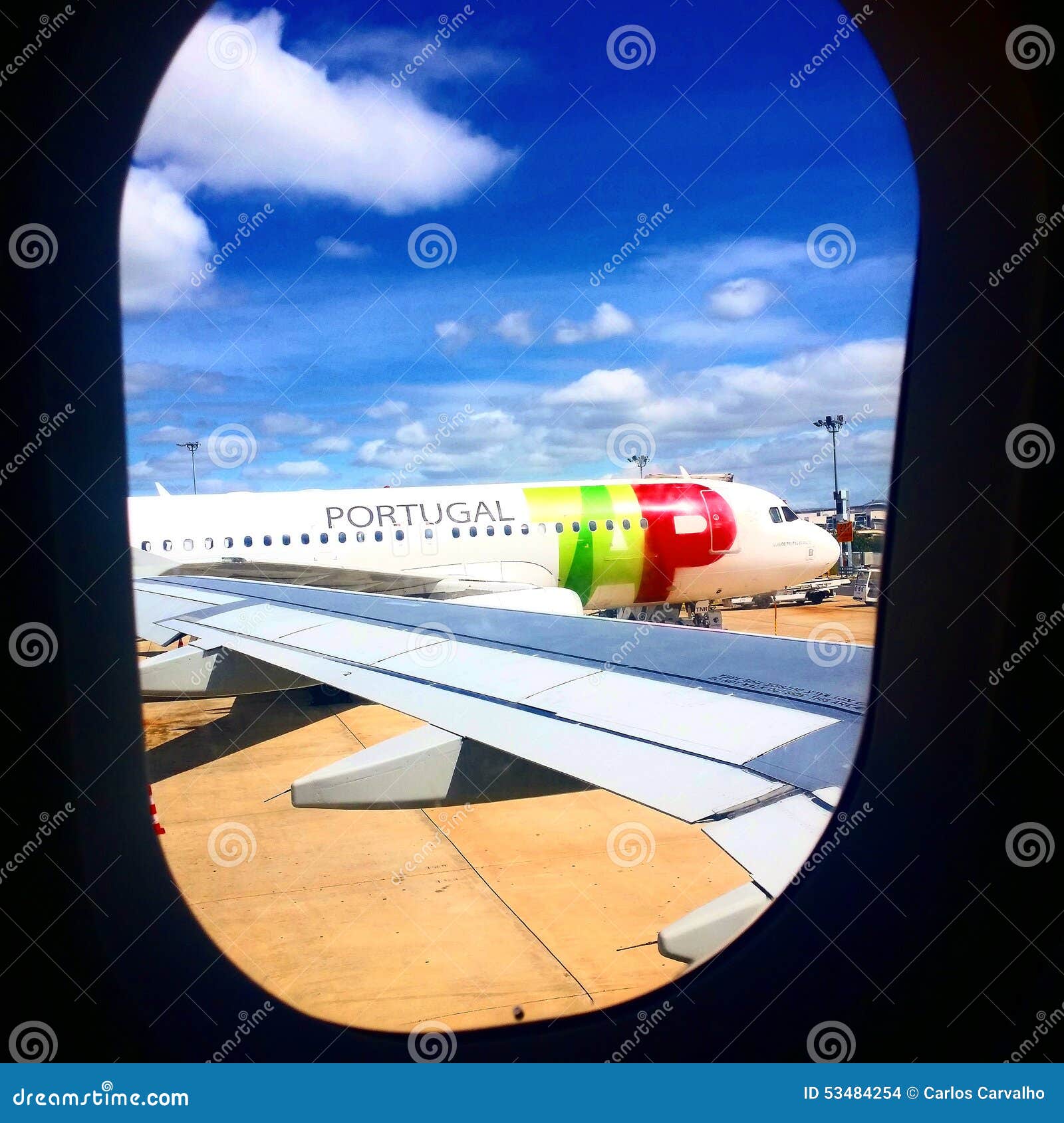 Avion TAP Portugal image stock éditorial. Image du airlines - 53484254