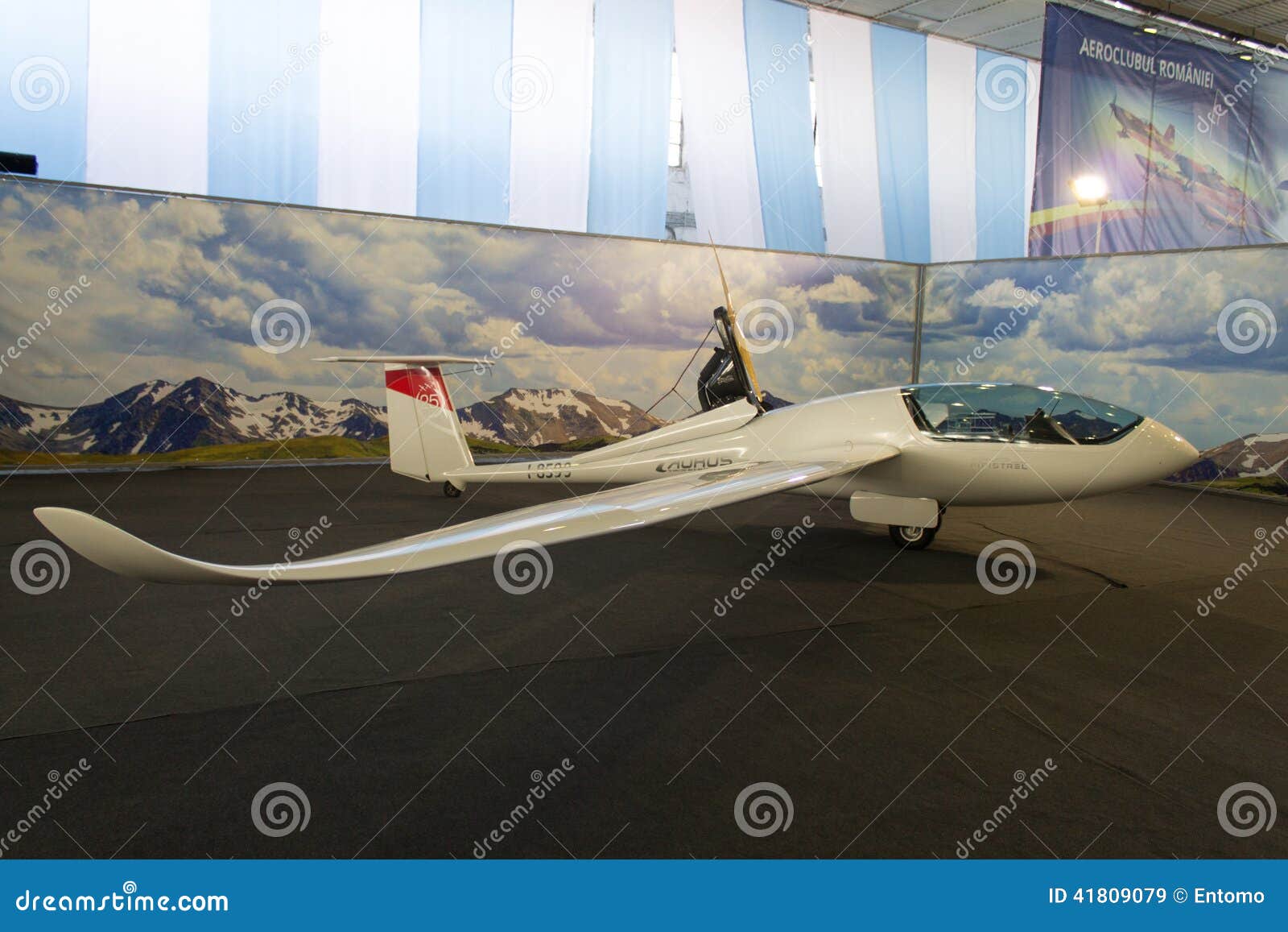 Aviones De Taurus Electro G2 Del Pipistrelo Imagen de archivo editorial ...