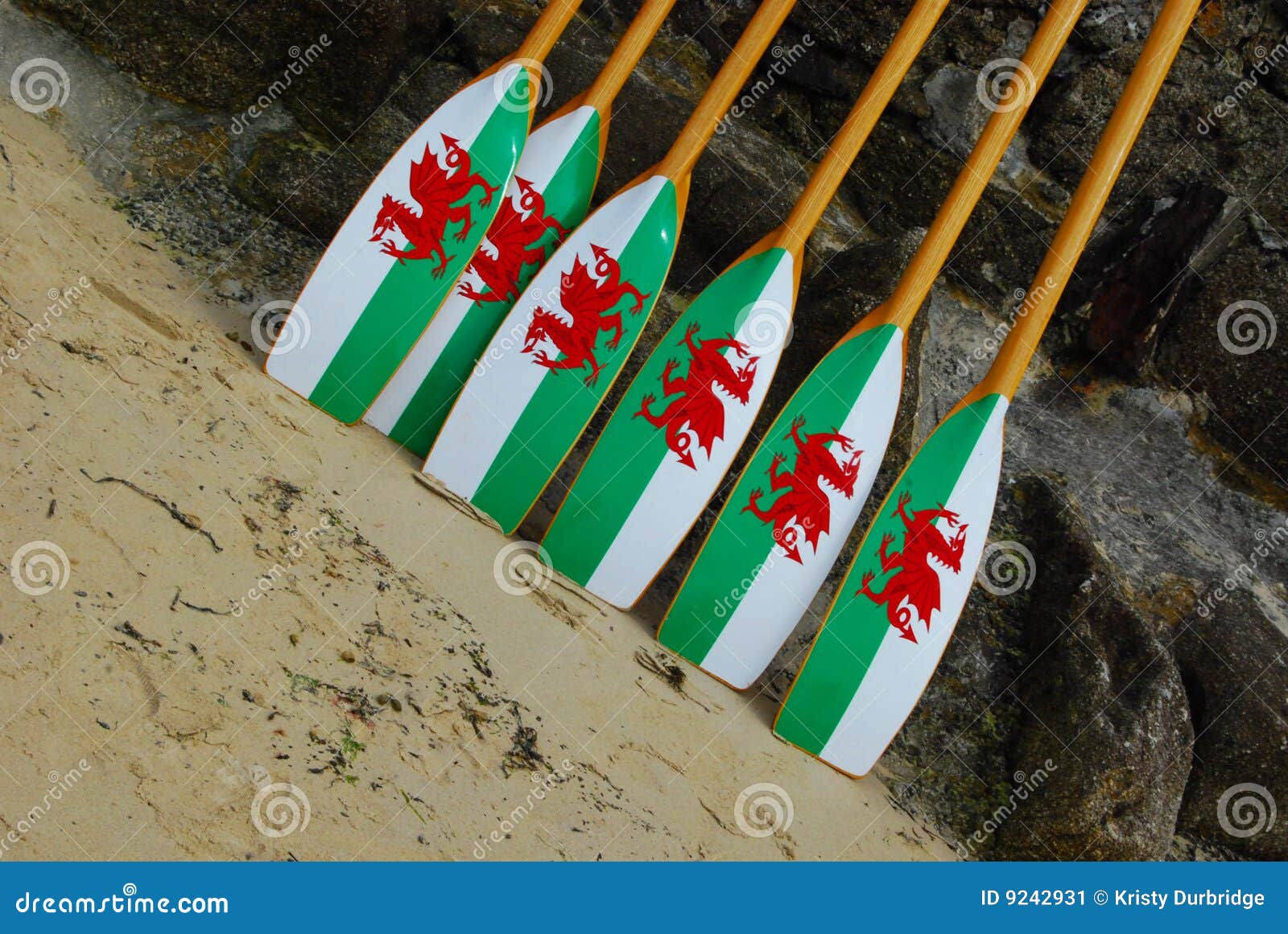 Avirons D'aviron D'Obturation Image stock - Image du vert, lames: 9242931