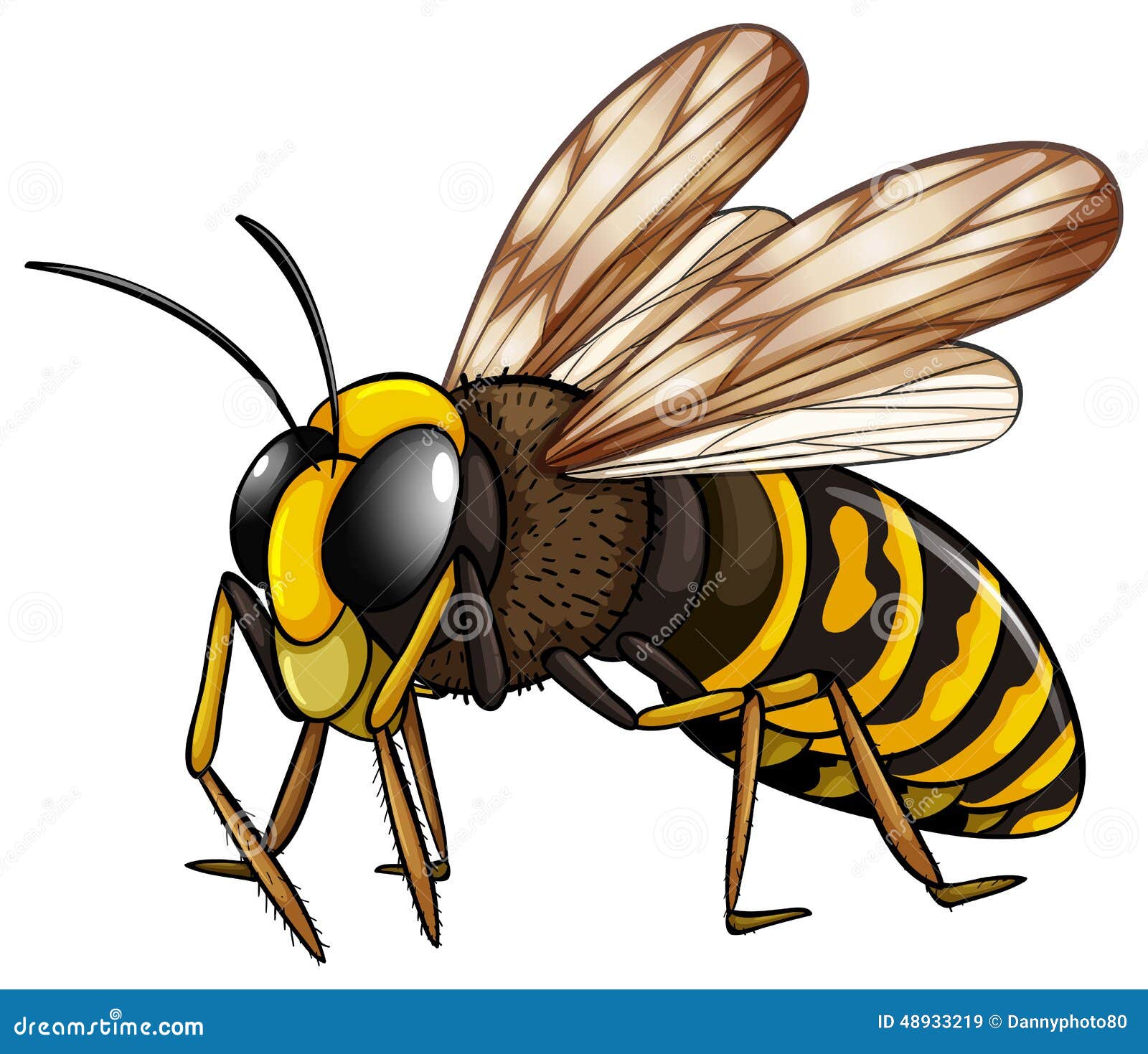 Avispa ilustración del vector. Ilustración de cuadro - 48933219
