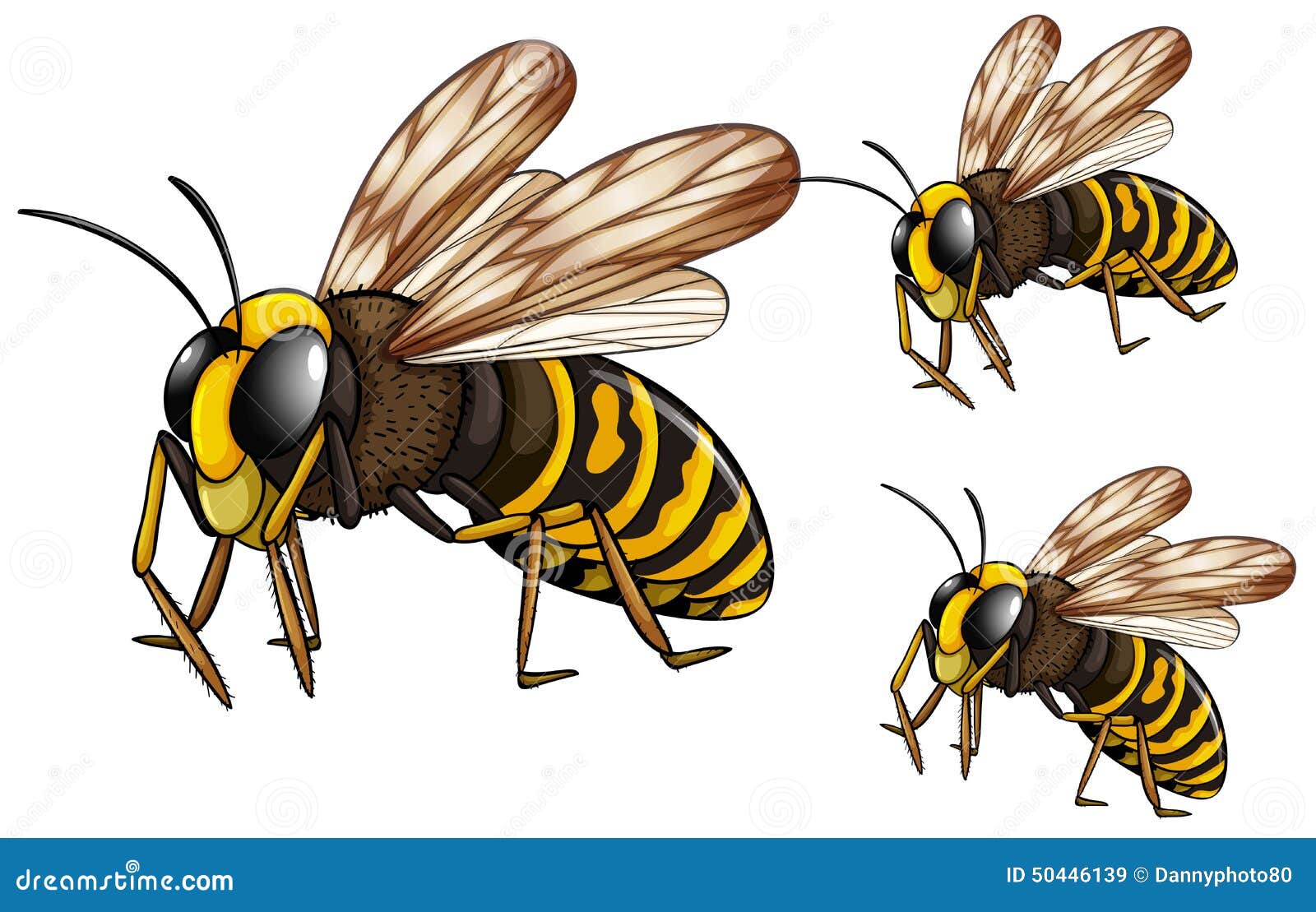 Avispas ilustración del vector. Ilustración de salvaje - 50446139