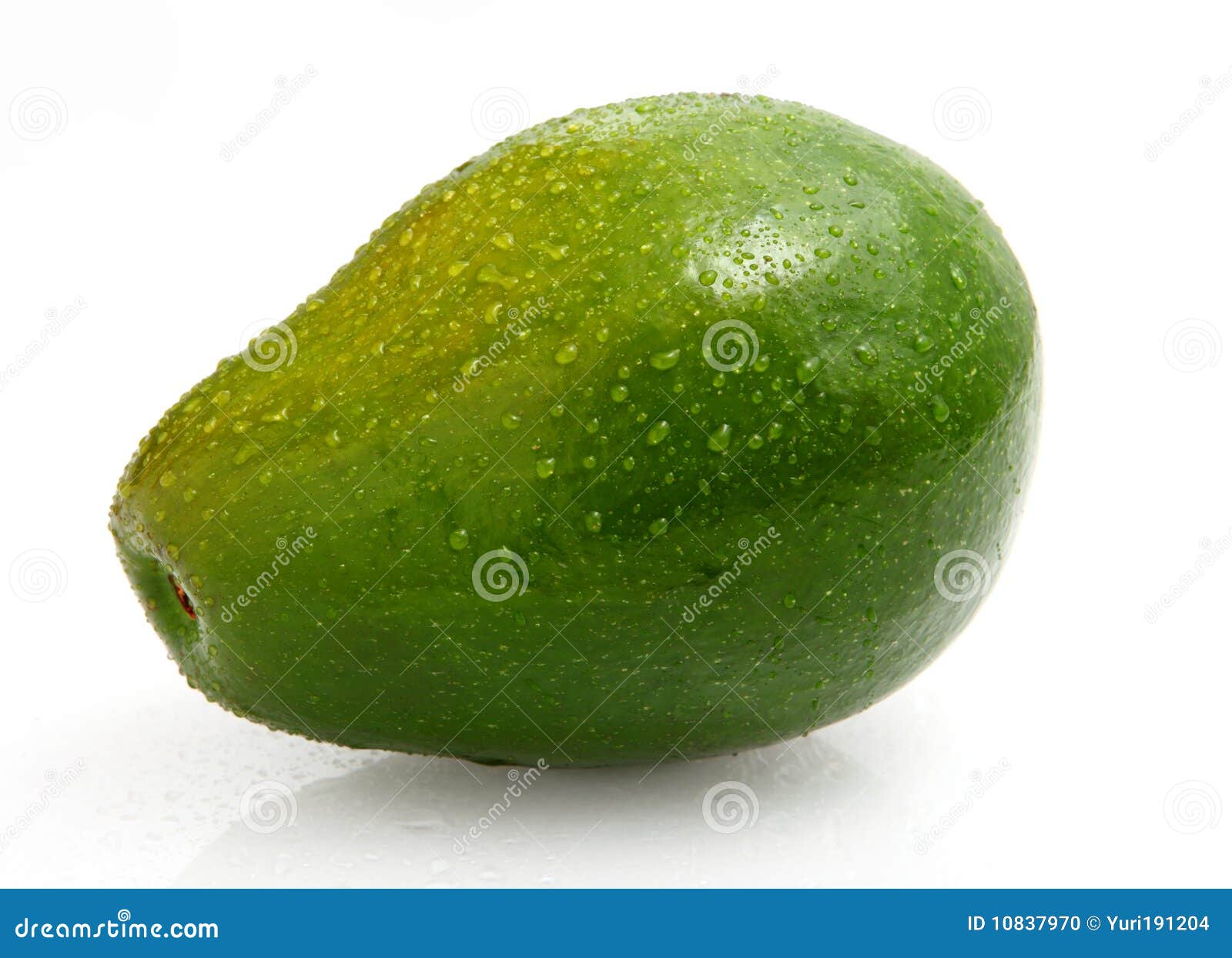 Avocado stock photo. Image of edible, eatable, nonfat - 10837970