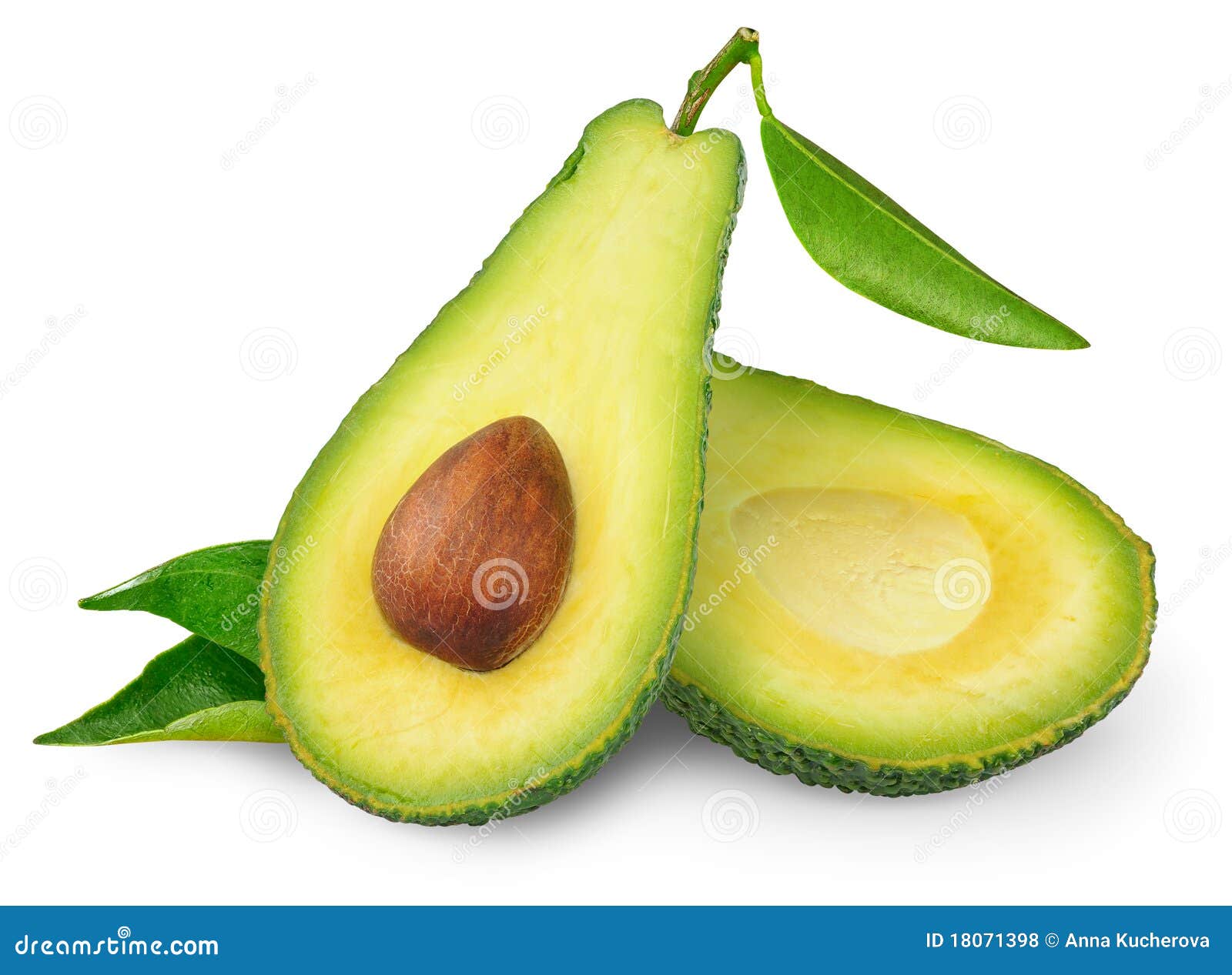 Isolated avocado stock photo. Image of quarter, core - 18071398