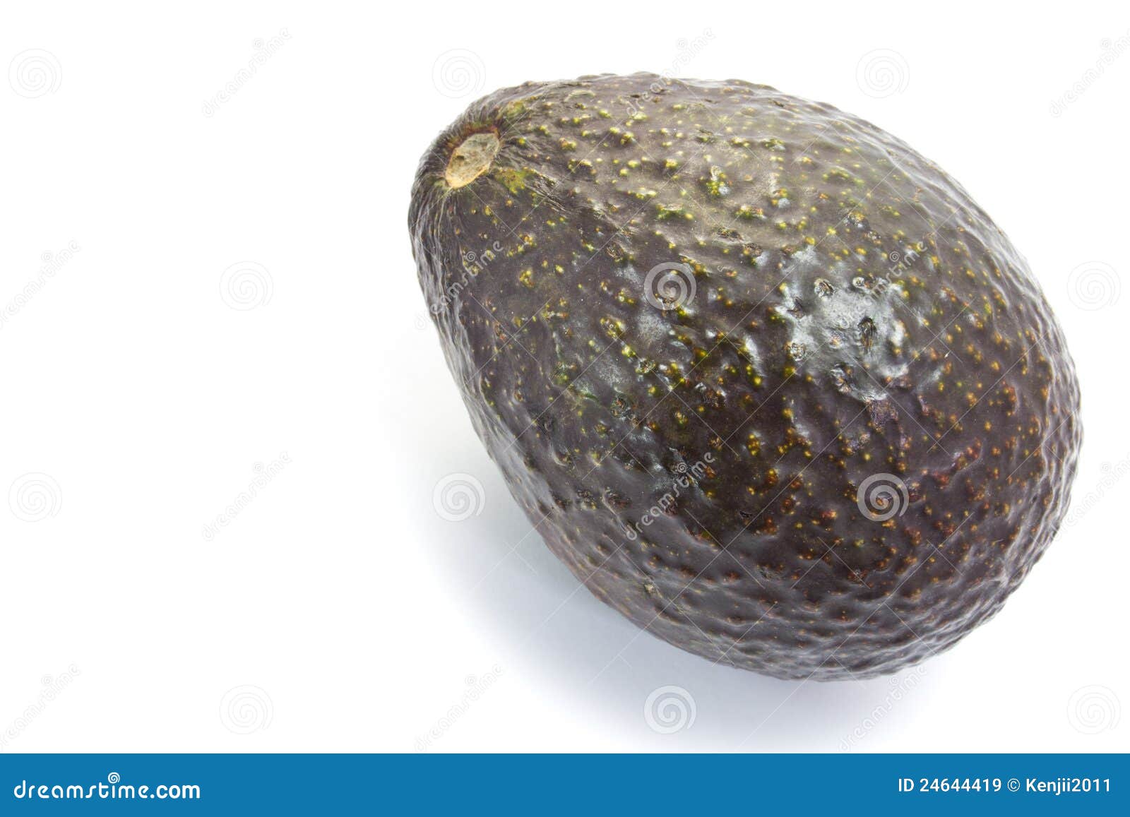 Avocado stock image. Image of isolated, nutrition, copy - 24644419