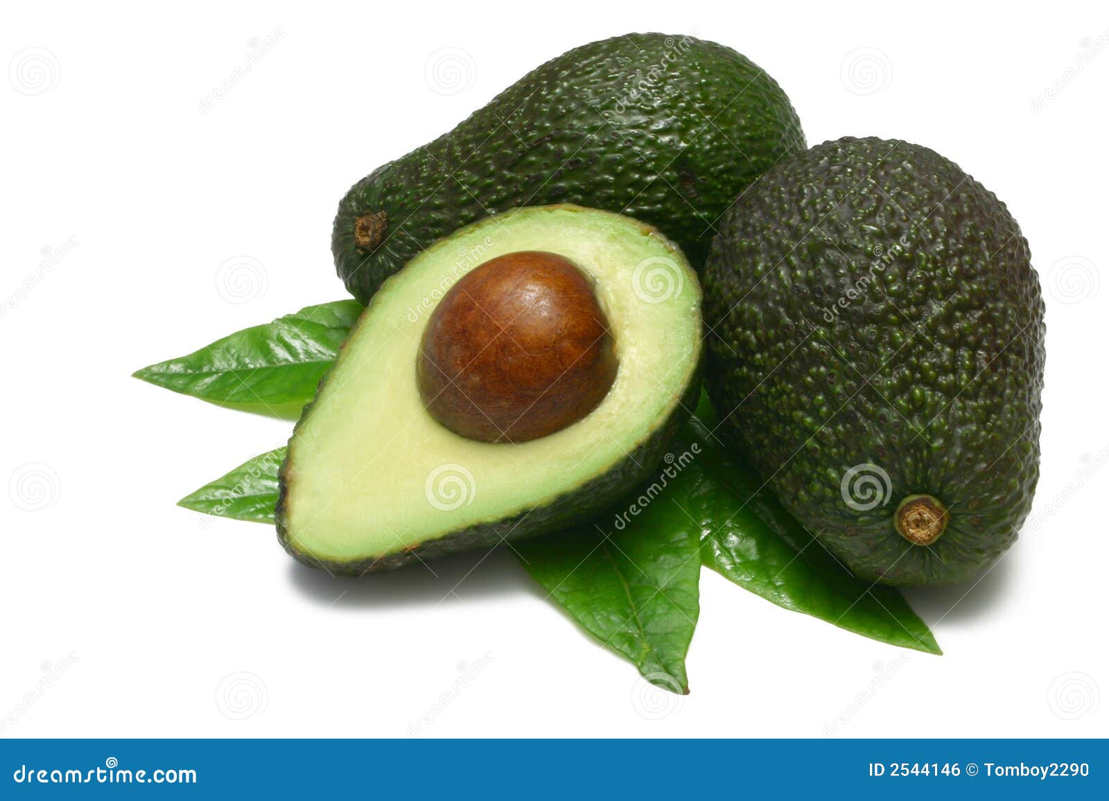 Avocado stock photo. Image of white, ingredient, seed - 2544146
