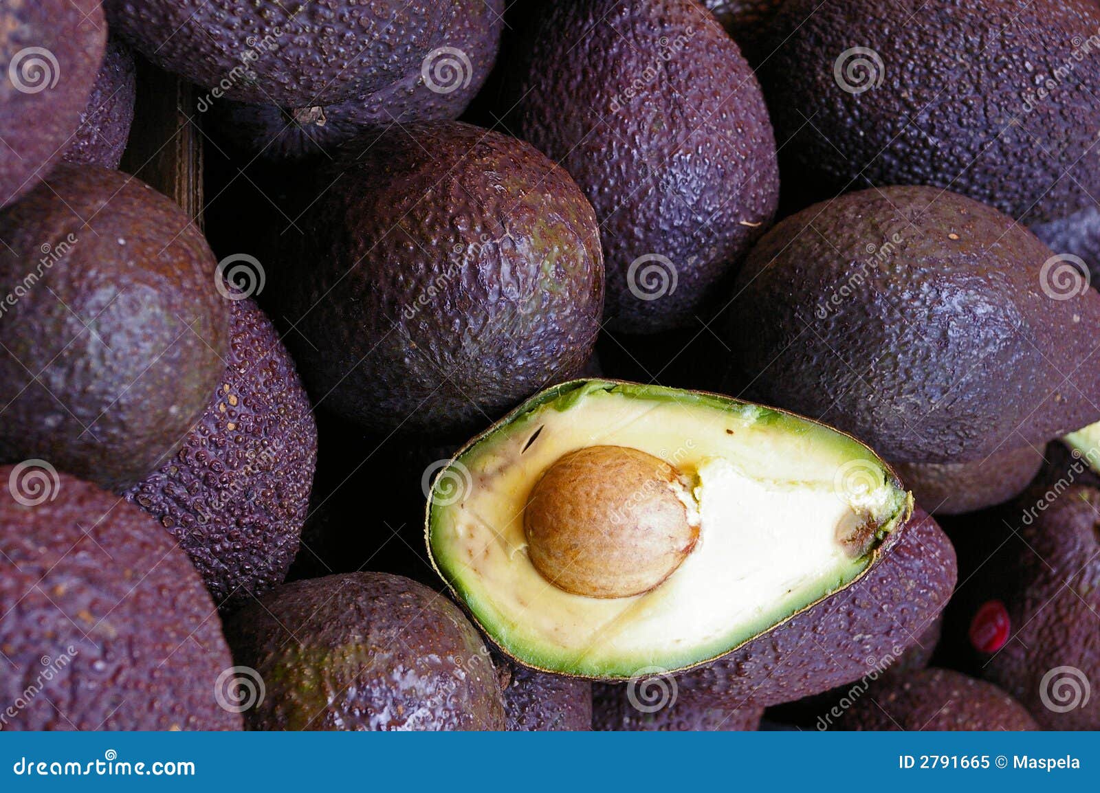 Avocado stock image. Image of farming, garden, healthy - 2791665