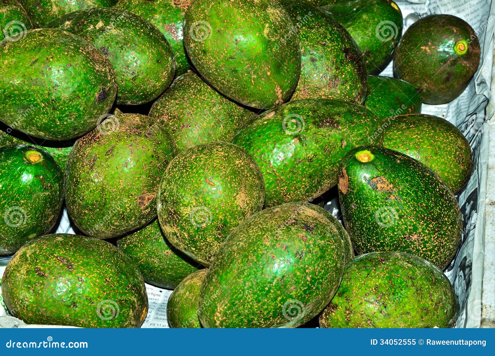 Avocado immagine stock. Immagine di insalata, ingredienti - 34052555