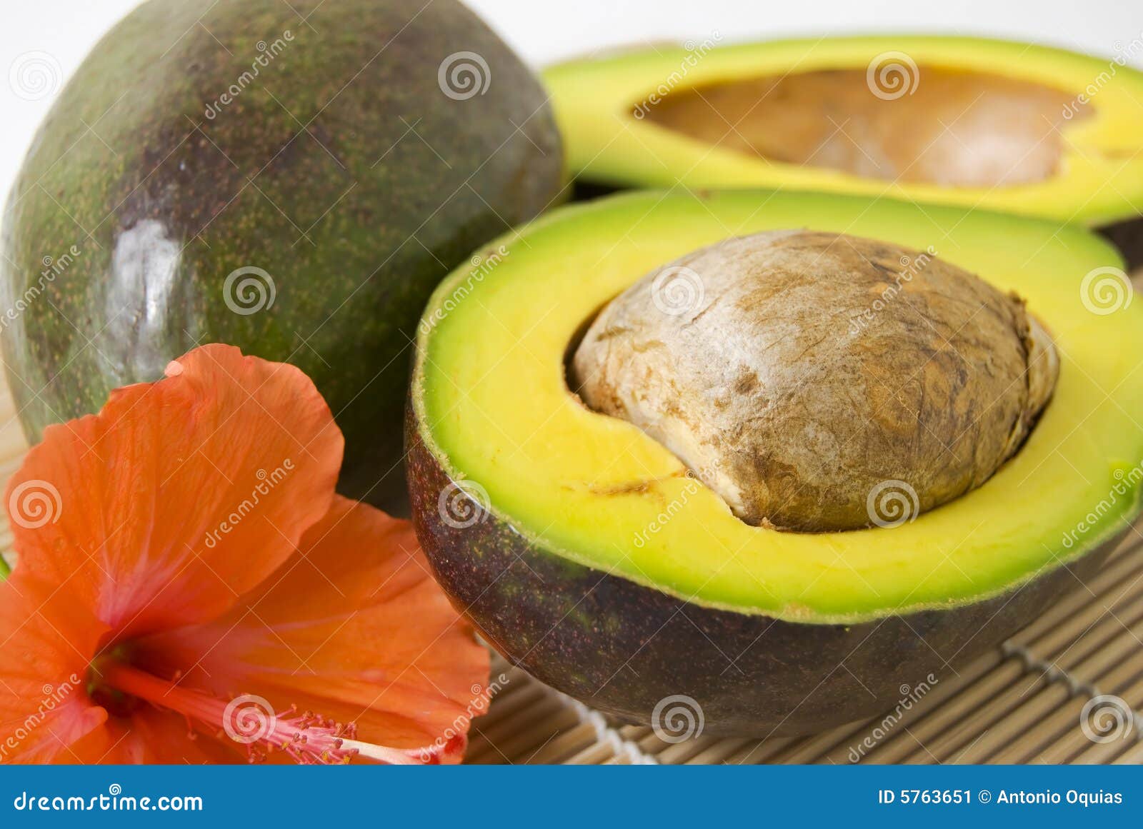 Avocado stock image. Image of appetite, colorful, organic - 5763651
