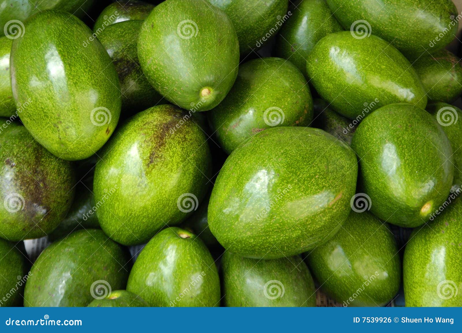 Avocado stock photo. Image of fruit, sell, nature, avocados - 7539926