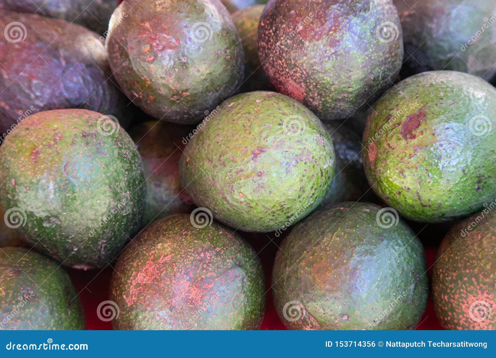 Avocado Also Refers To the Avocado Tree`s Fruit, Which is Botanically a ...