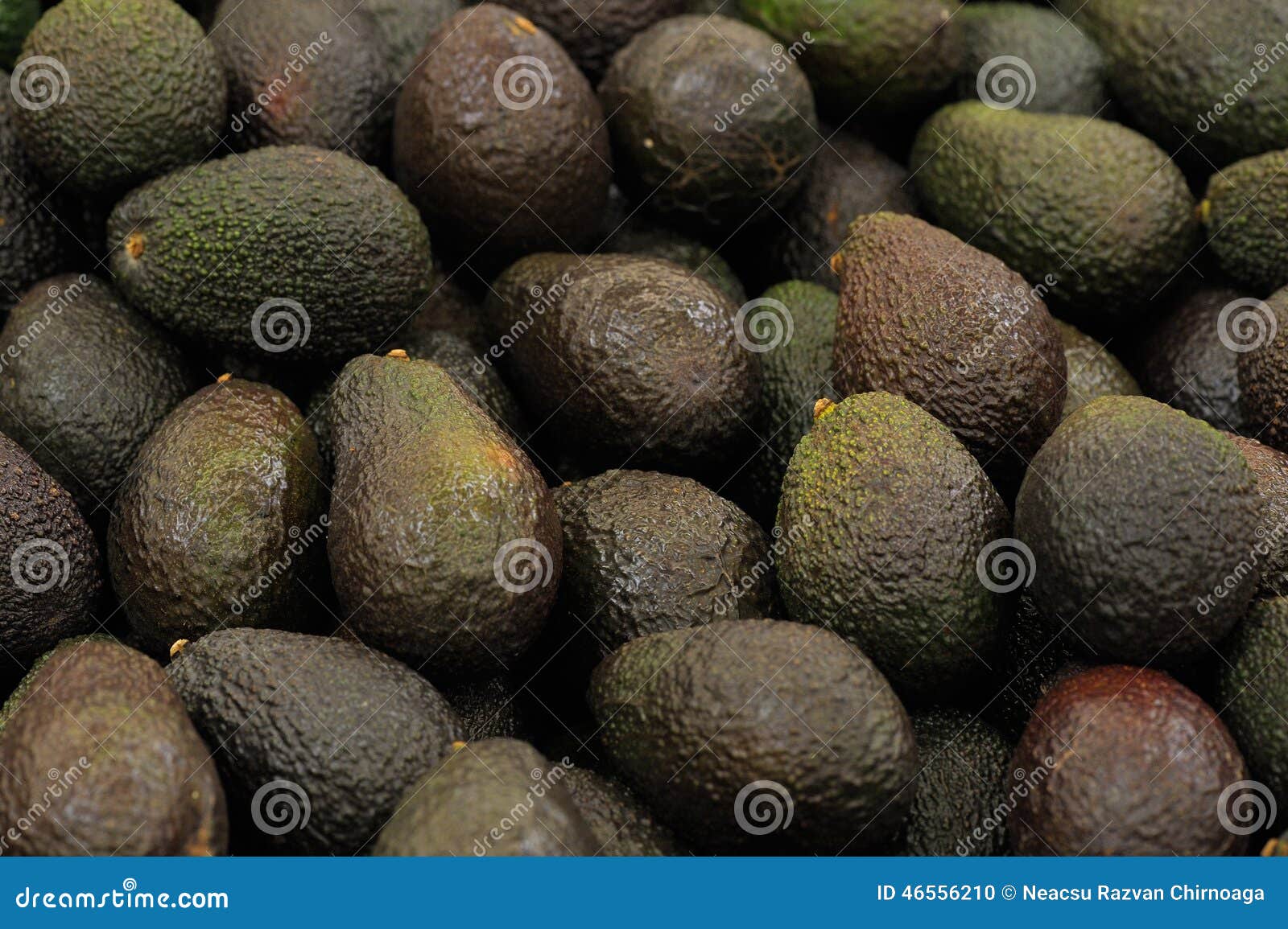 Avocado stock photo. Image of organic, object, lifestyle - 46556210