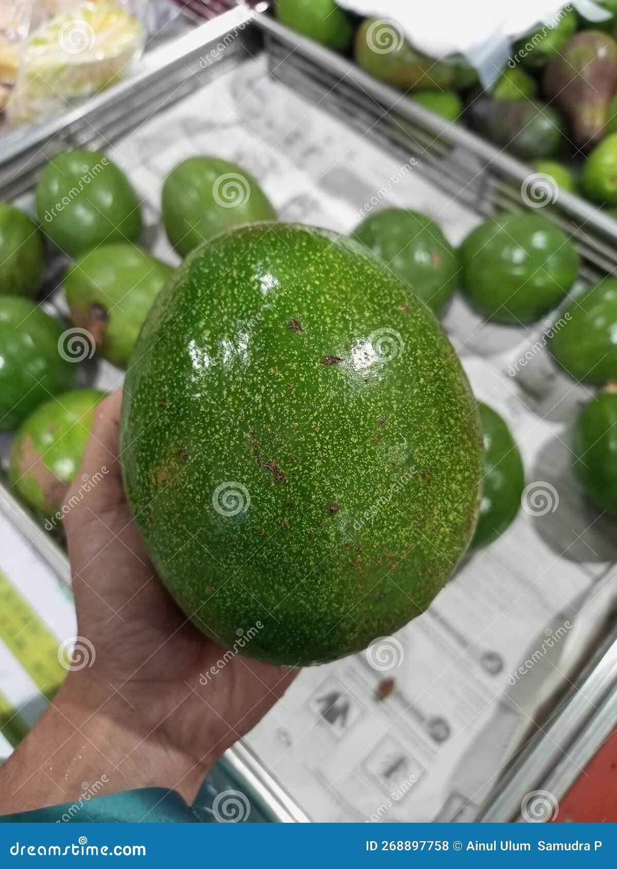 Big green avocado stock photo. Image of centers, avocados - 268897758
