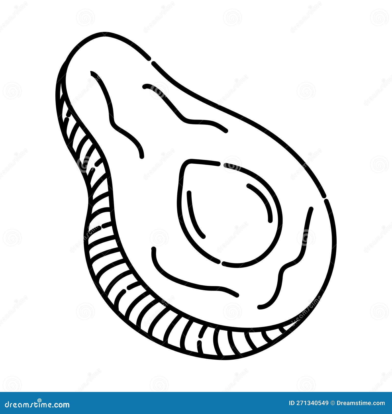 Avocado Black Outline Vector Set Isolated On A White Background ...