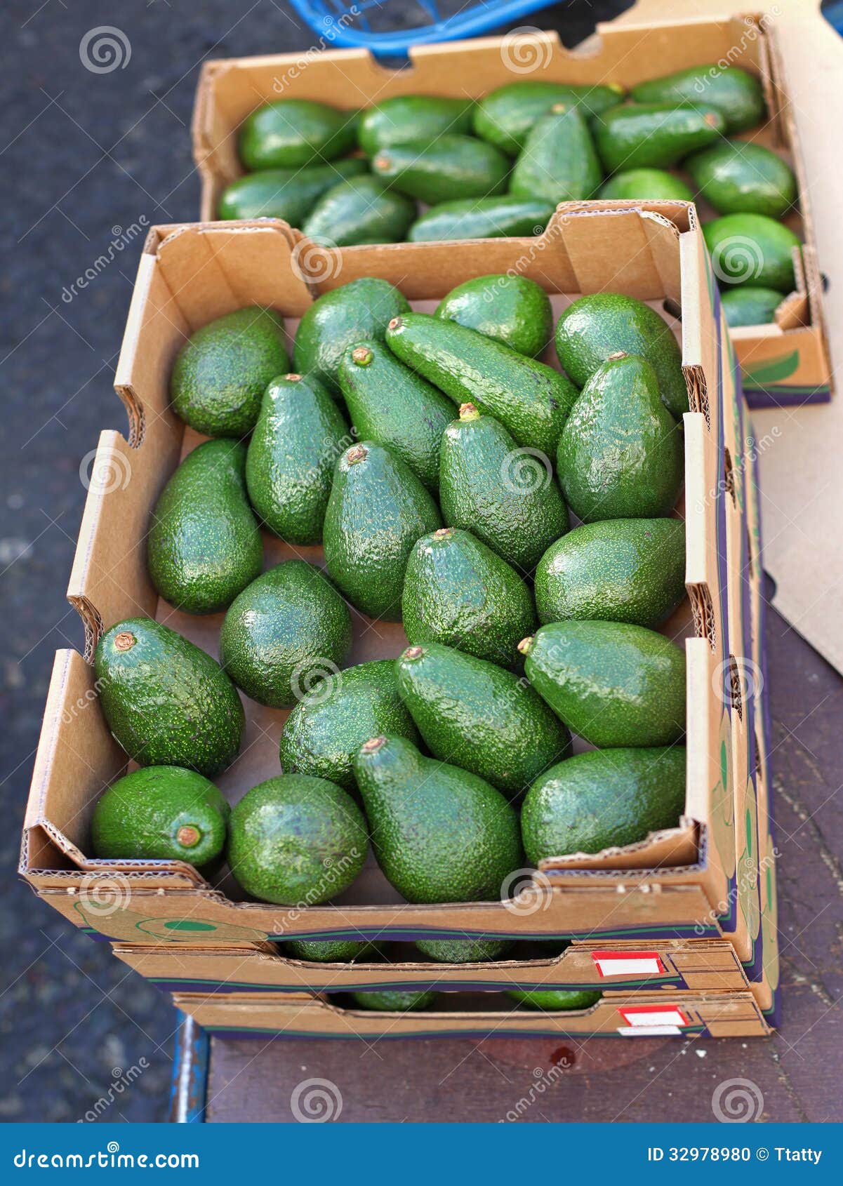 Avocado box stock photo. Image of fresh, organic, cardboard - 32978980