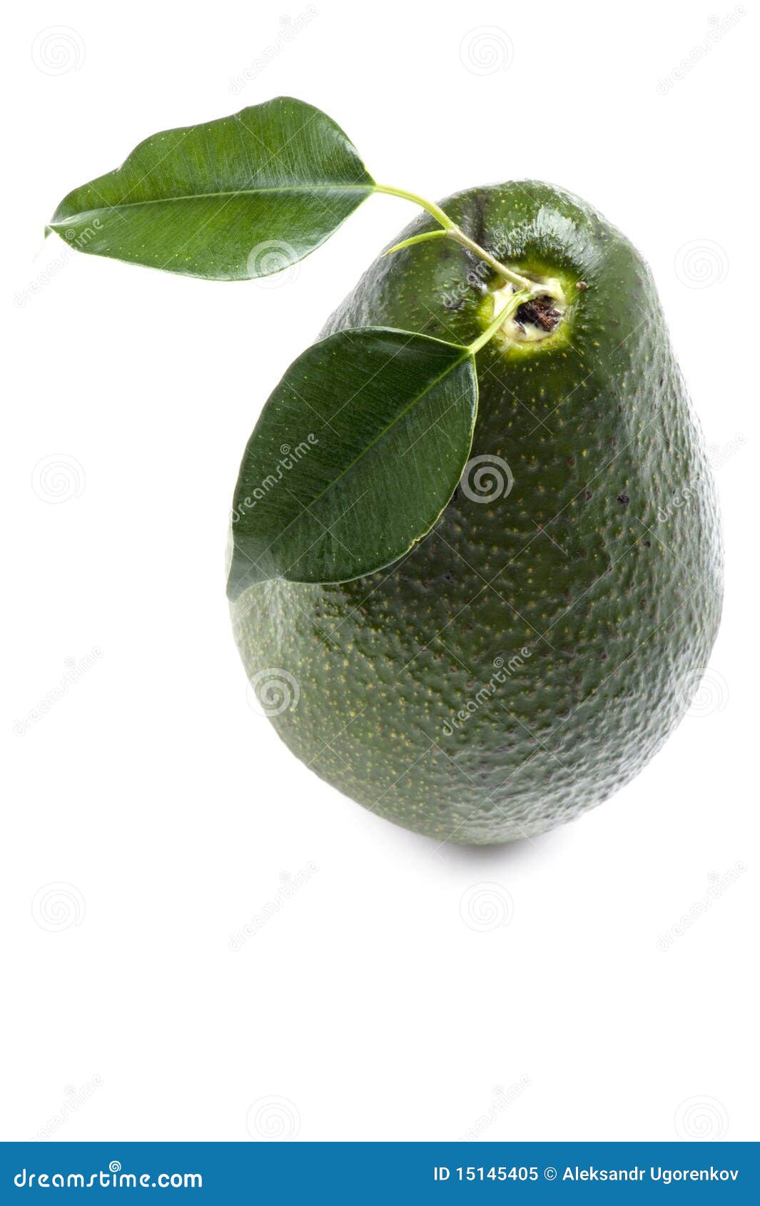 Avocado close up stock image. Image of pear, white, tasty - 15145405