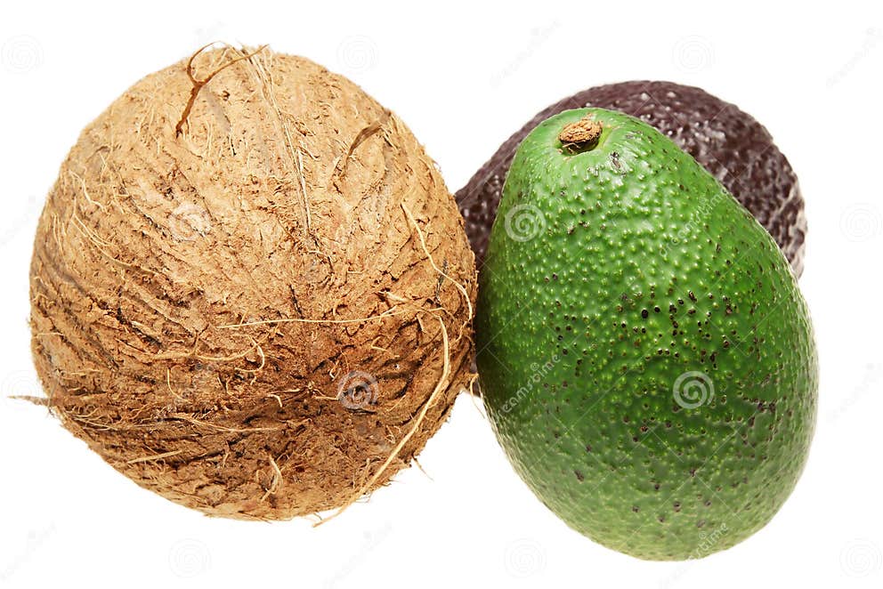 Avocado and Coco on a White Background Stock Image - Image of tropical ...