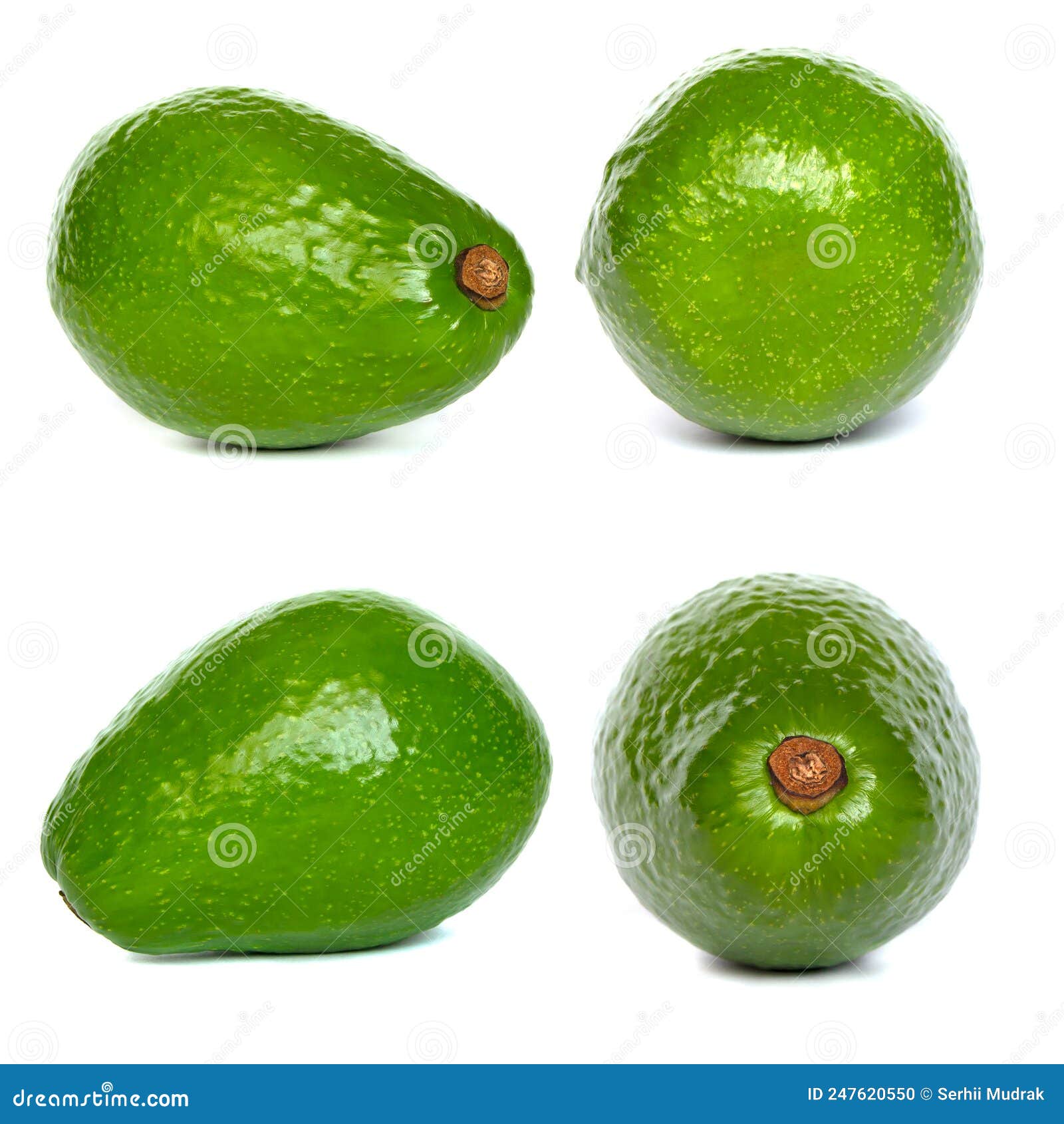 Avocado Collection Isolated on White. Avocado Studio Shooting Stock ...