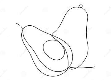 Avocado Continuous Line Drawing Vector Stock Vector - Illustration of ...