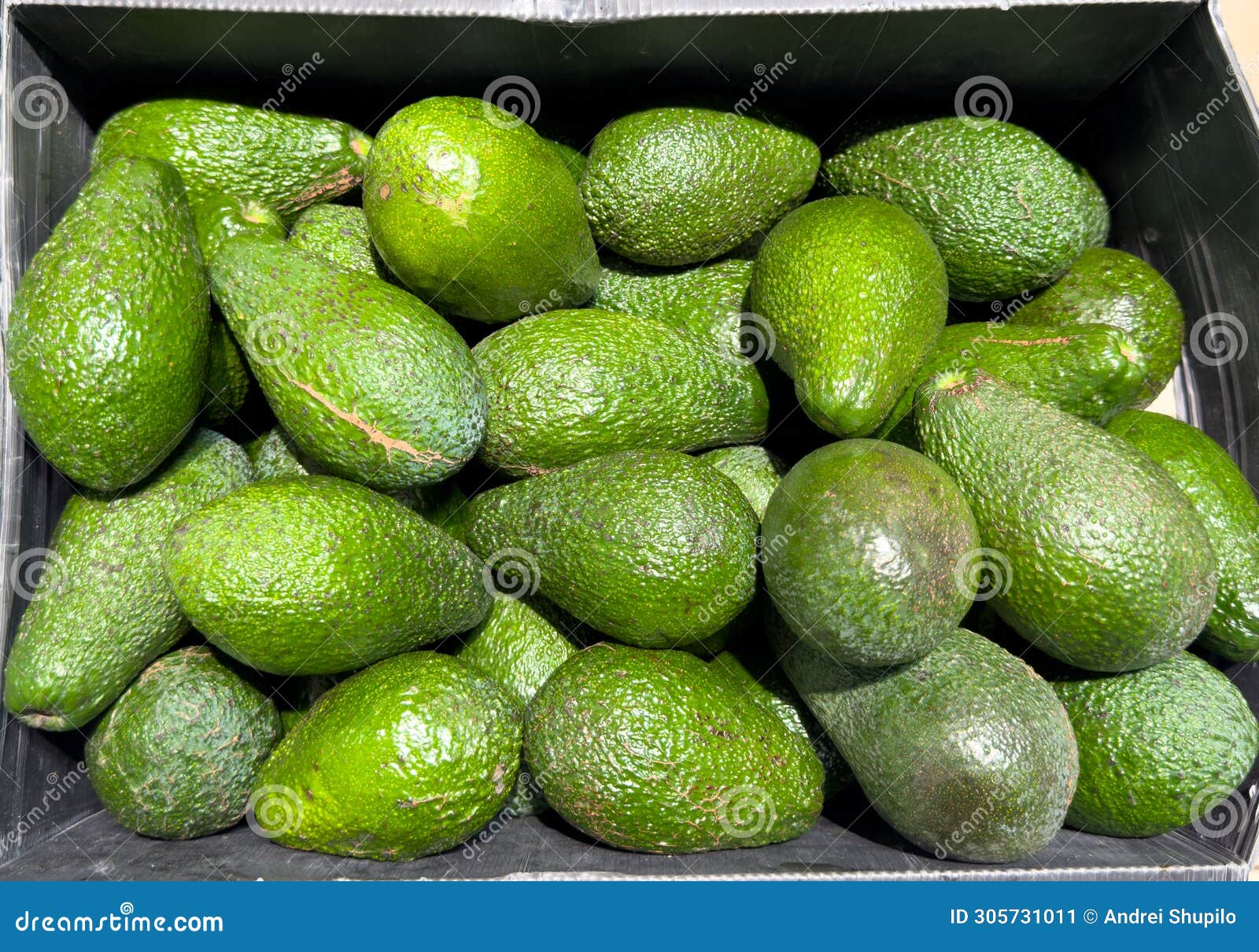 Avocado on the Counter in the Market Stock Image - Image of harvest ...