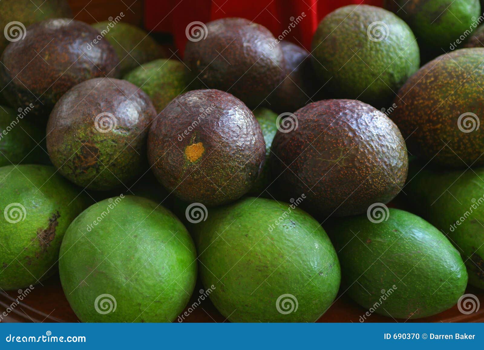 Avocado on Display stock photo. Image of market, avocados - 690370
