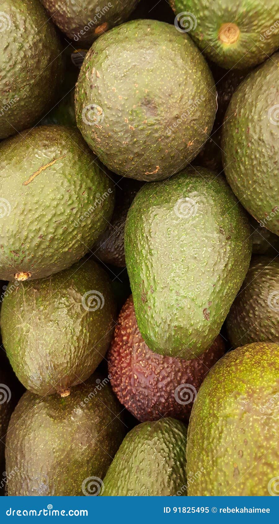 Avocado Display stock image. Image of green, produce - 91825495