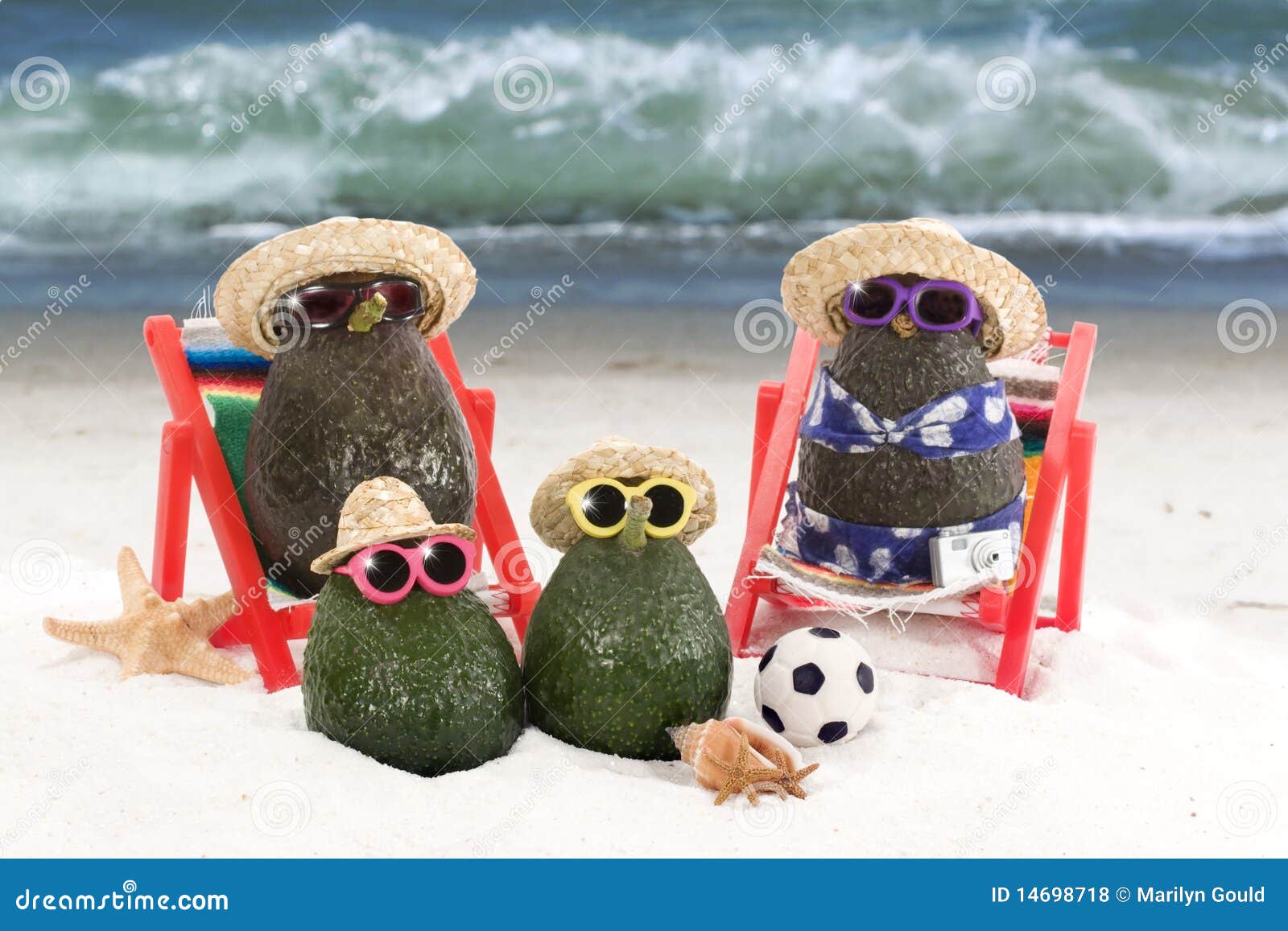 Avocado Family at Beach stock photo. Image of vacation - 14698718