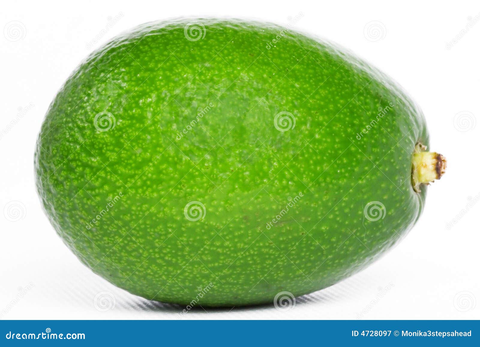 Avocado Fruit Photo Pattern. Hass, Pinkerton, Puebla Varieties. Top ...