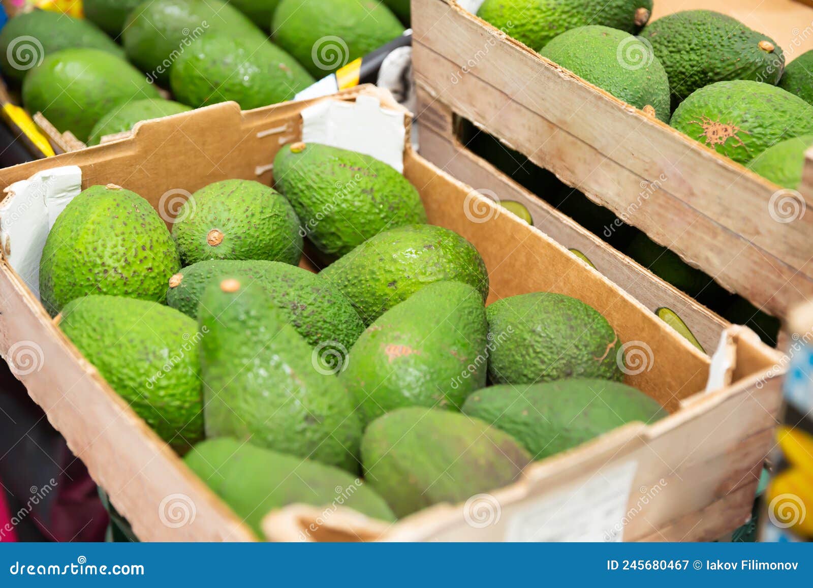 Avocado fruit in boxes stock image. Image of ripe, organic - 245680467