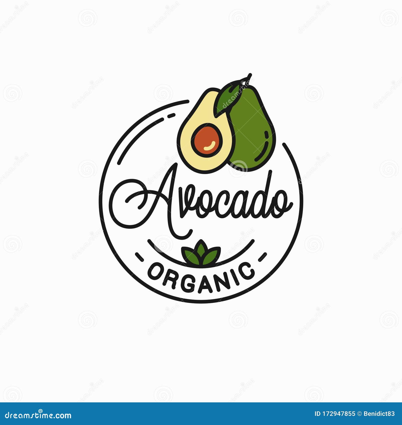 Avocado Fruit Infographics With Some Point Title Description For ...