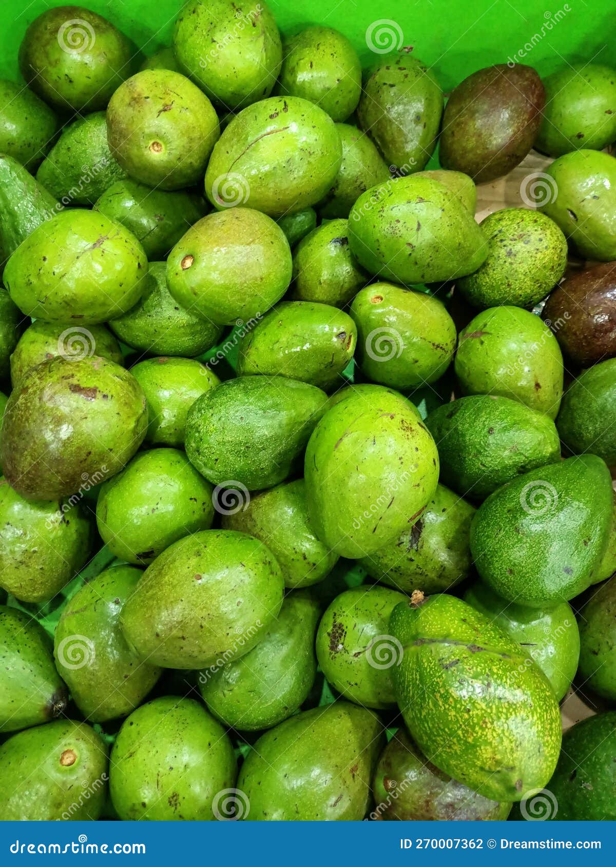 Avocado fruit shop stock photo. Image of shrub, leaf - 270007362