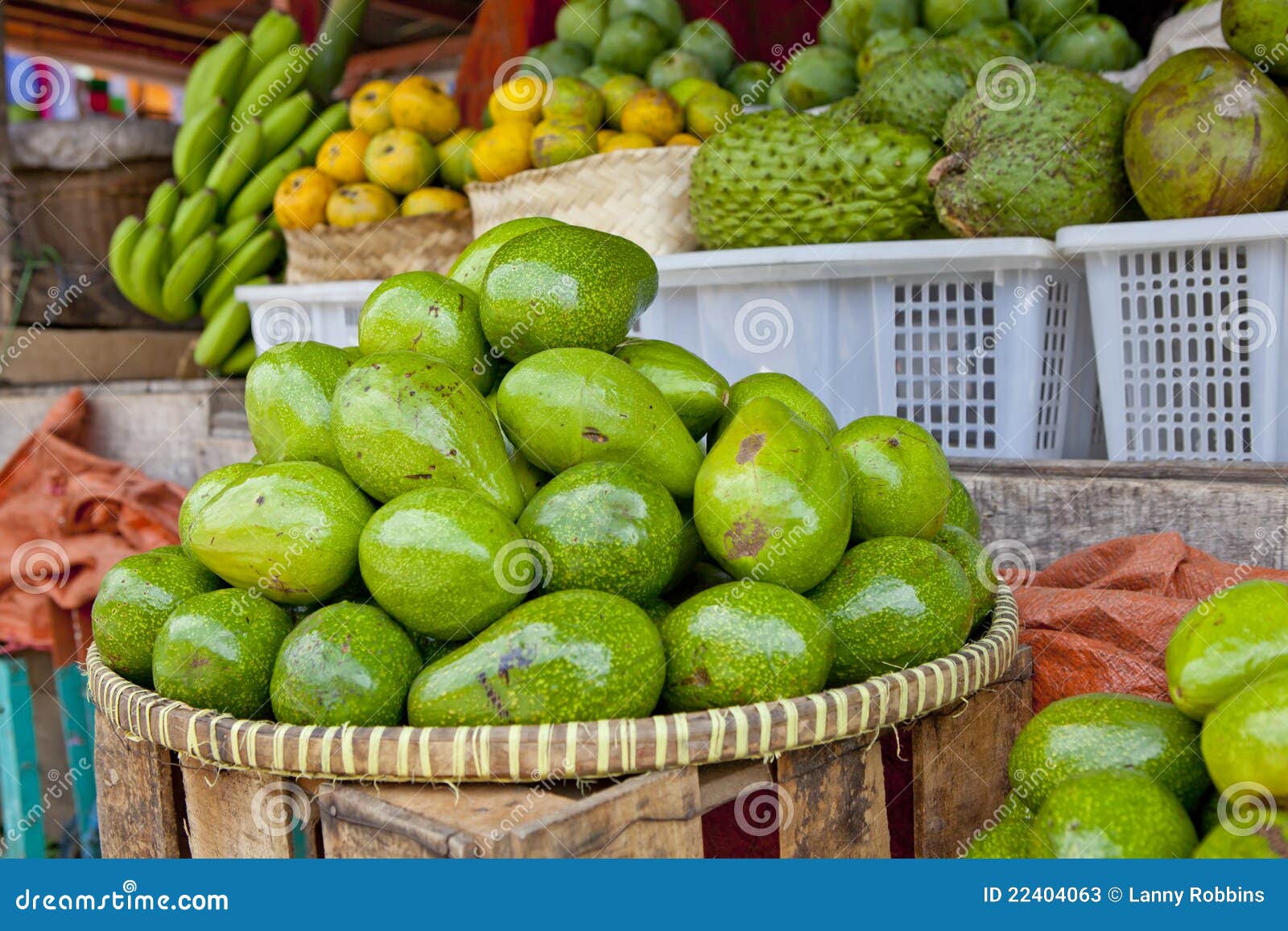 Avocado Fruit Stand stock image. Image of bazaar, ripe - 22404063