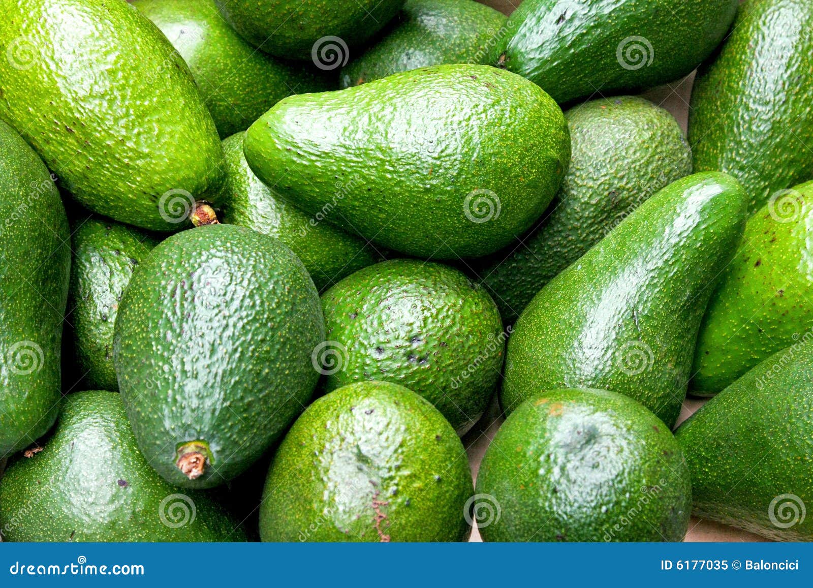 Avocado green stock image. Image of foods, diet, vegetable - 6177035