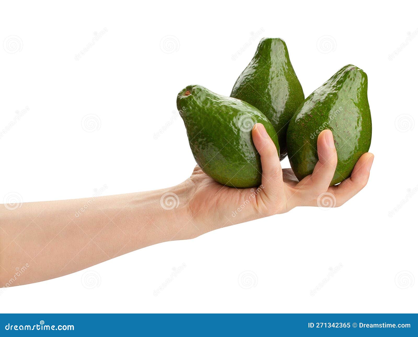 Avocado group in hand stock image. Image of nutrition - 271342365