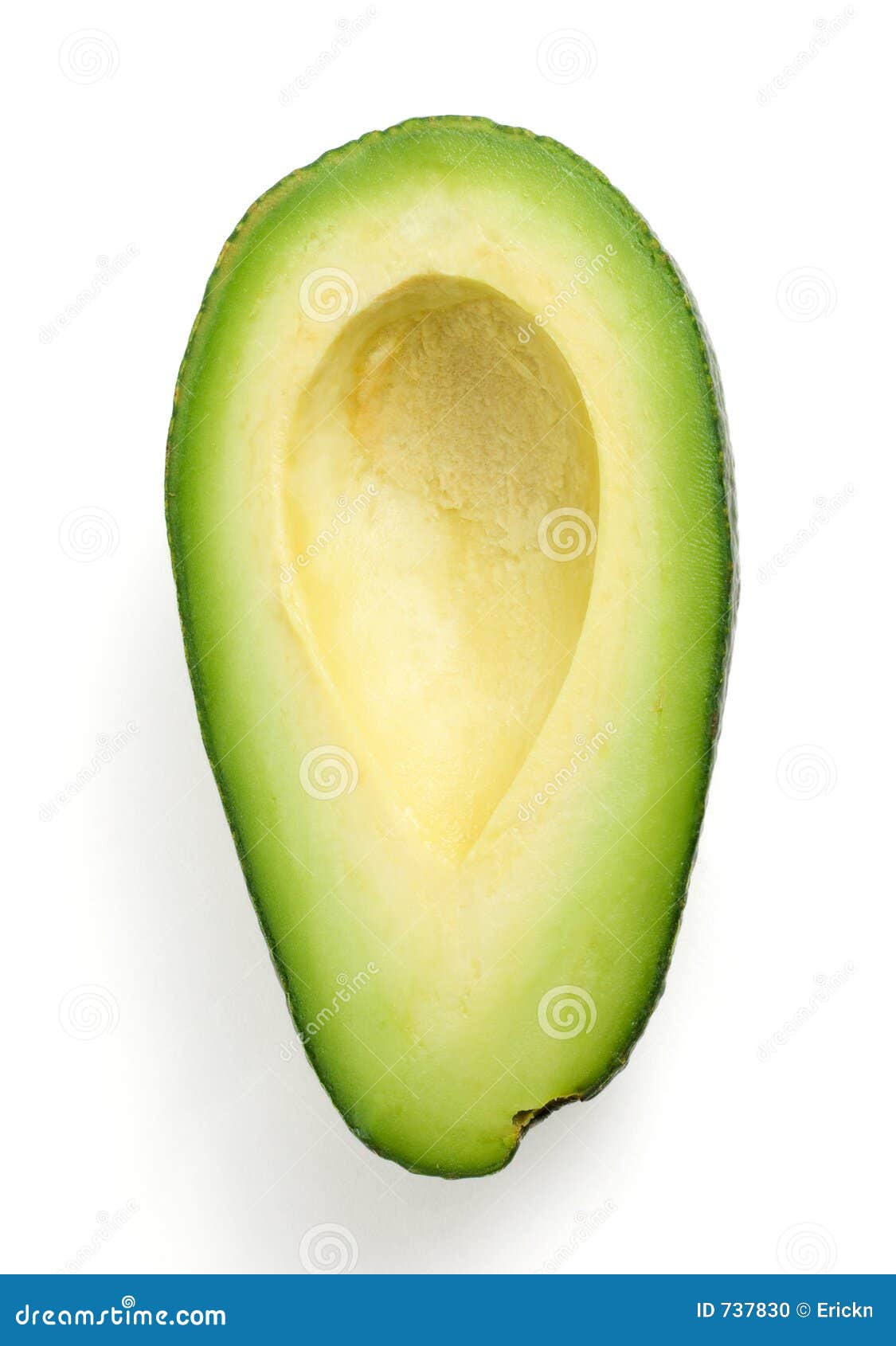 Avocado half stock photo. Image of nutritive, green, delicious - 737830