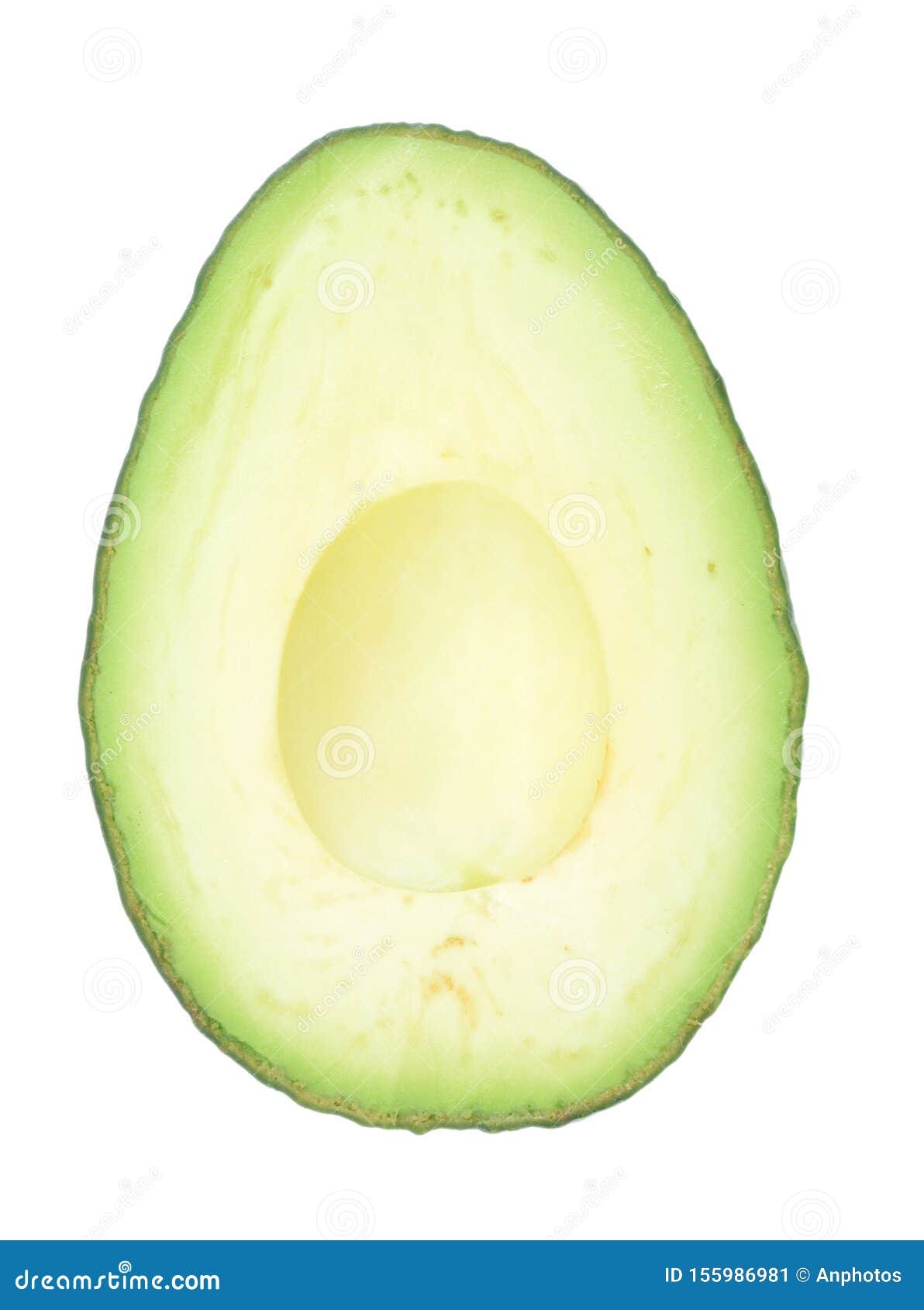 Avocado in half stock image. Image of ingredient, segment - 155986981