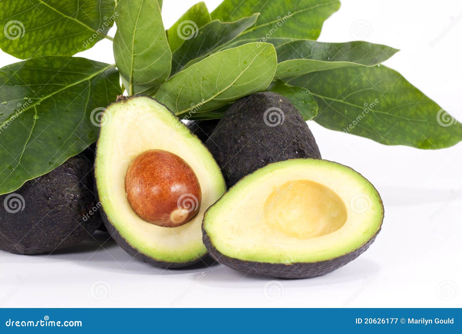 Avocado Halves stock image. Image of ripe, marilyngould - 20626177
