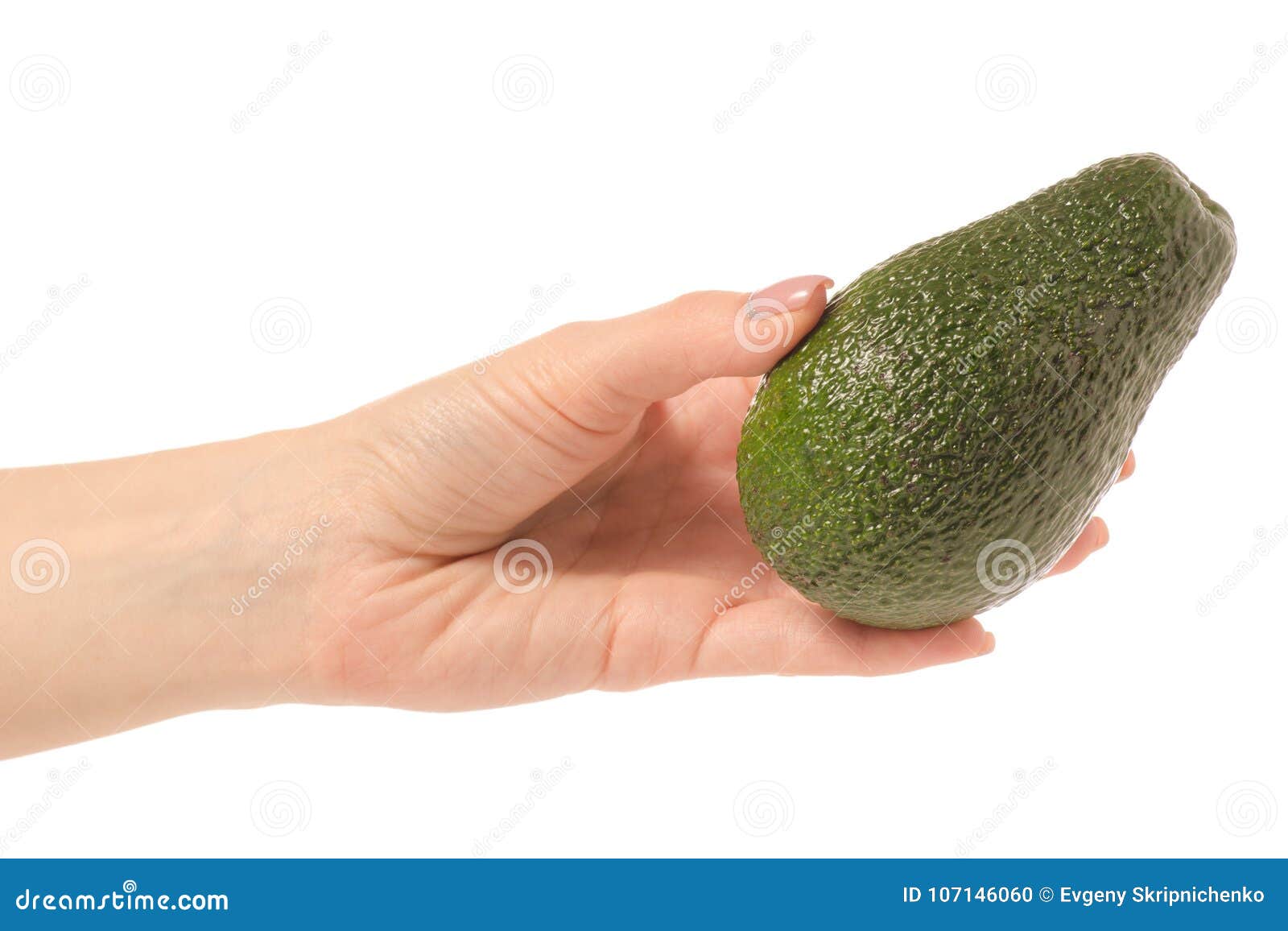 Avocado in hand stock photo. Image of full, healthy - 107146060