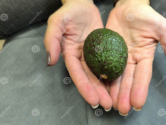 An Avocado Held by Human Hands Stock Image - Image of holding, hand ...