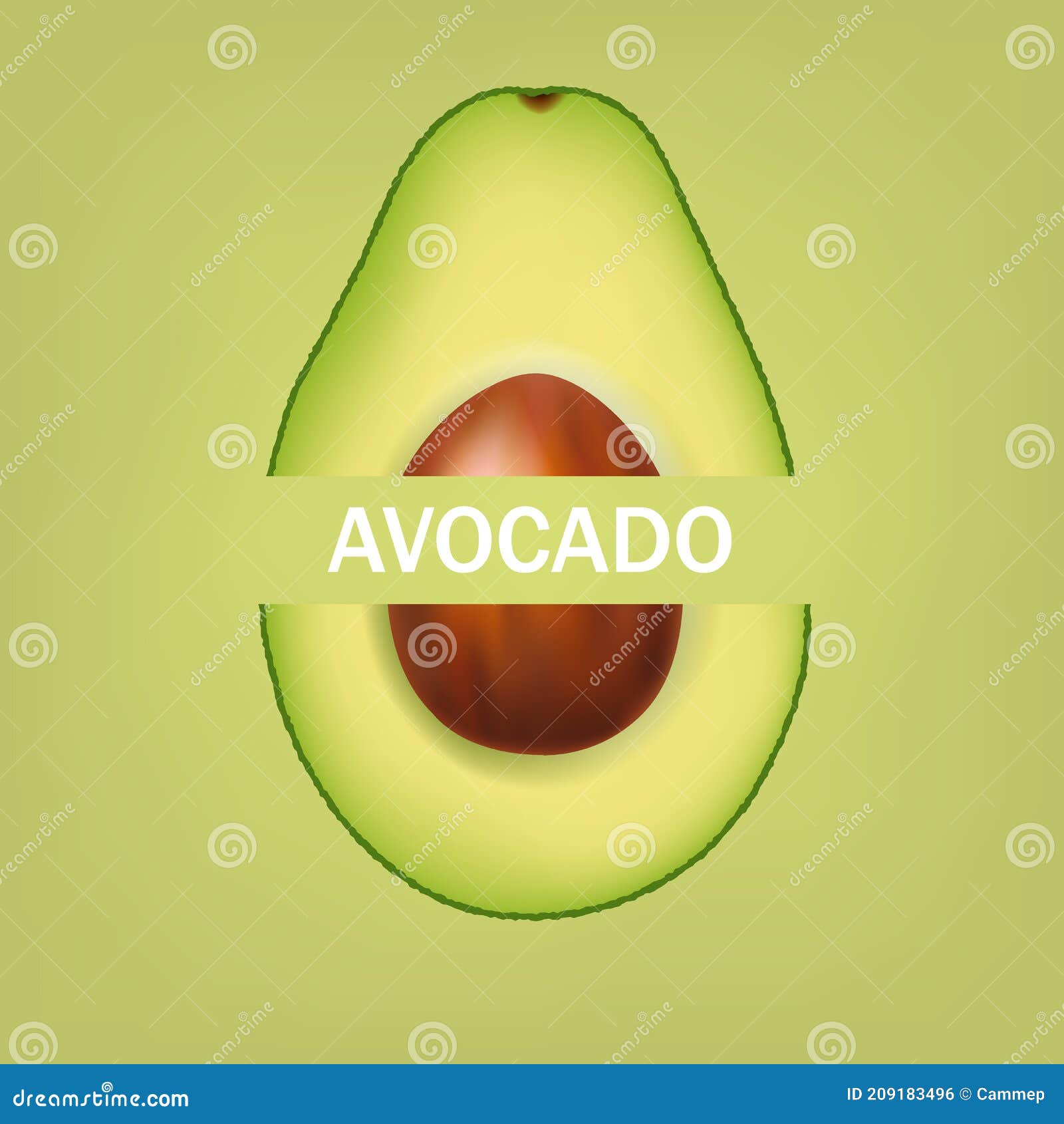 Avocado Isolated and Green Background with Text Stock Vector ...