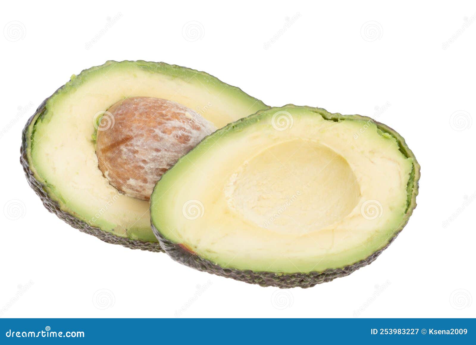 Avocado fruitage isolated stock image. Image of healthy - 253983227