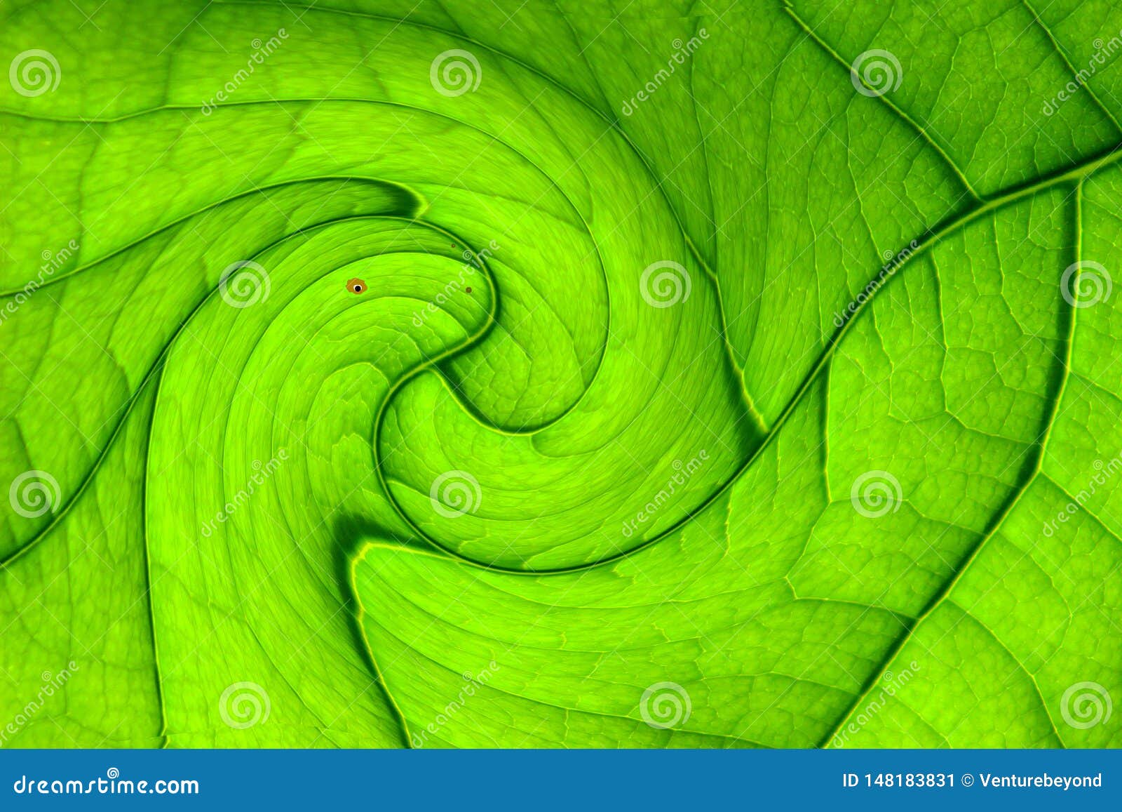 Avocado Leaf Snake Devouring Its Tail Stock Illustration - Illustration ...