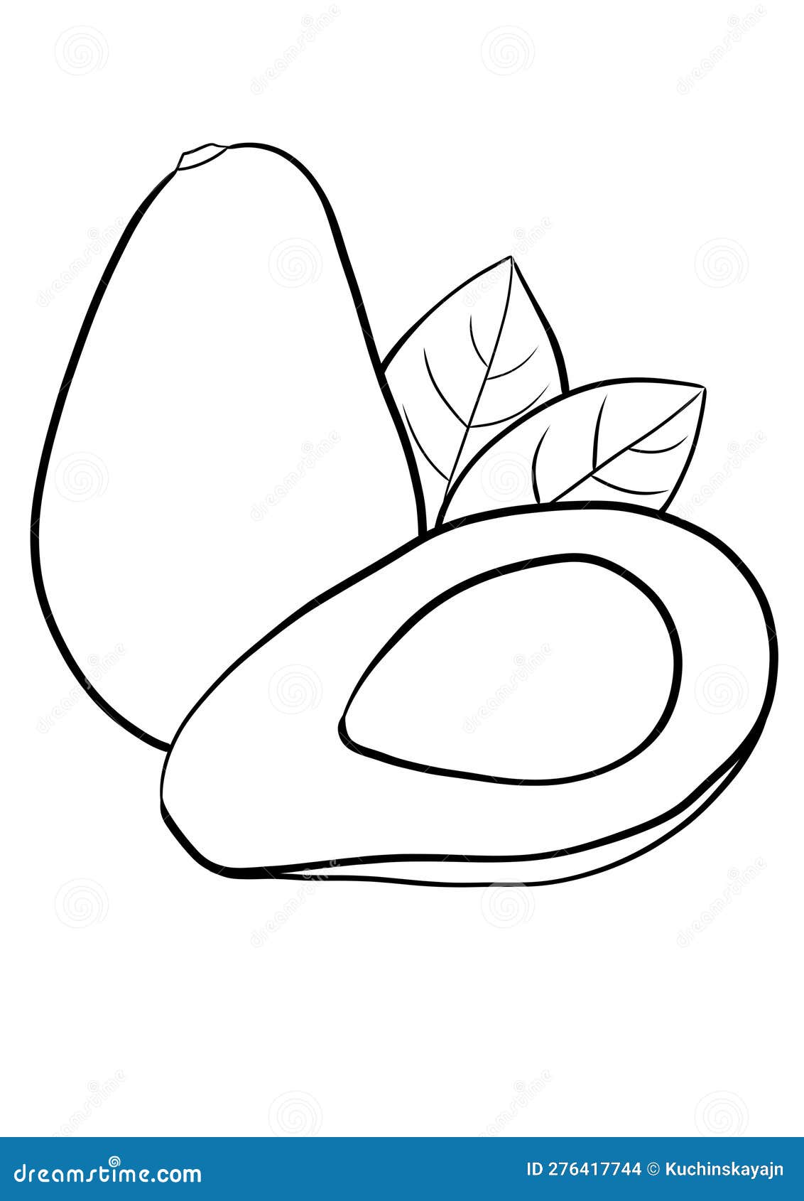 Avocado, Linear Monochrome Drawing Stock Photo - Illustration of ...