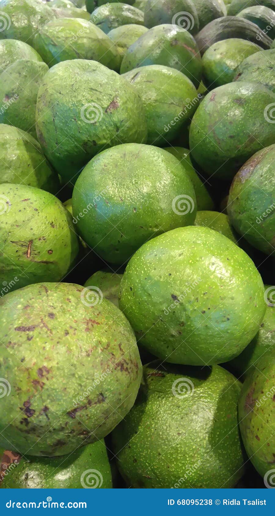 Avocado stock photo. Image of avocadoo, city, market - 68095238