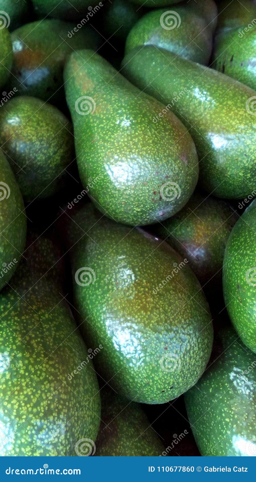 Avocado stock photo. Image of tasty, market, tropical - 110677860
